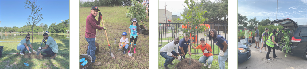 Our Mission — Trees For Houston