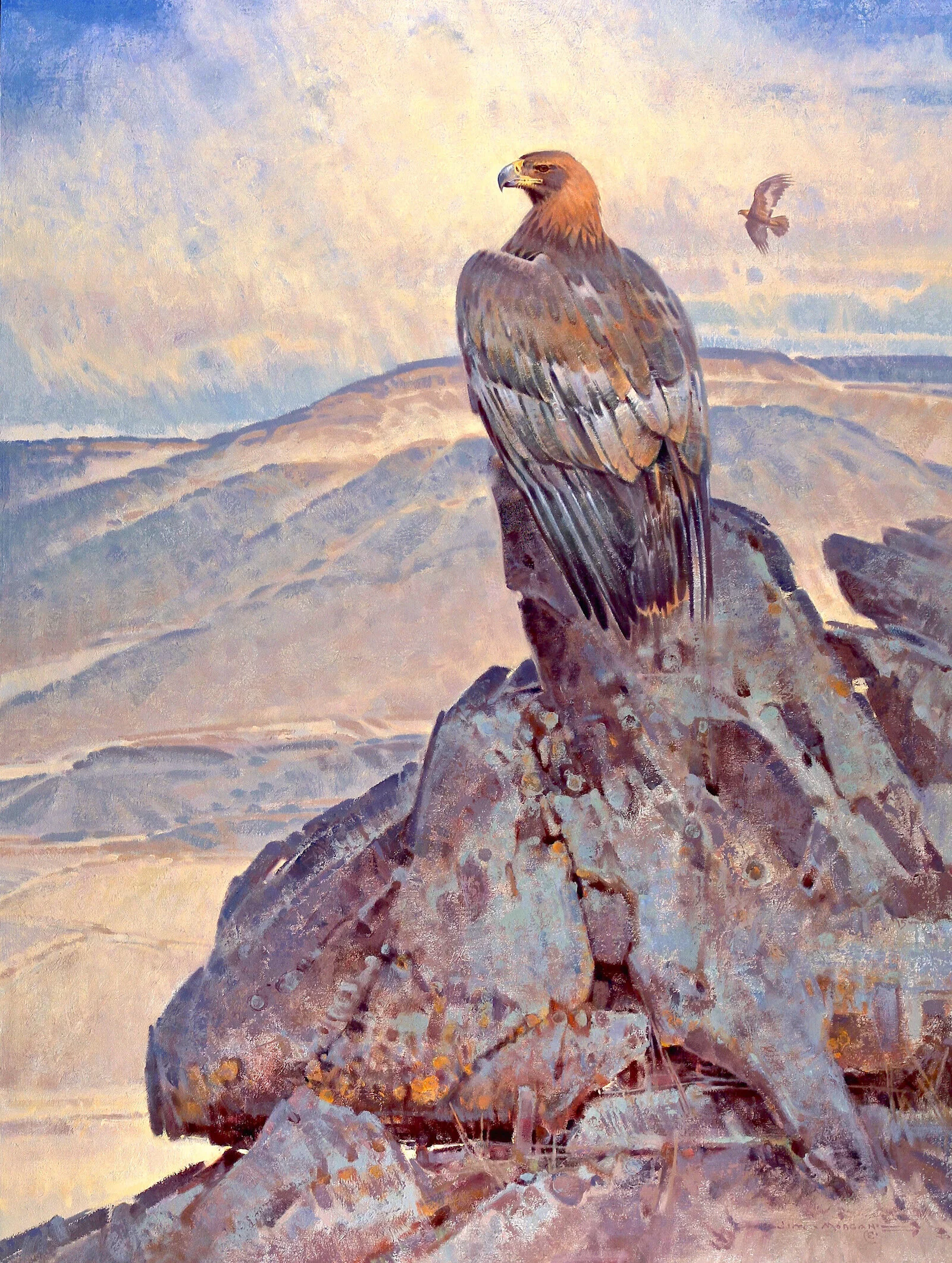 Jim Morgan — CLAGGETT/REY GALLERY