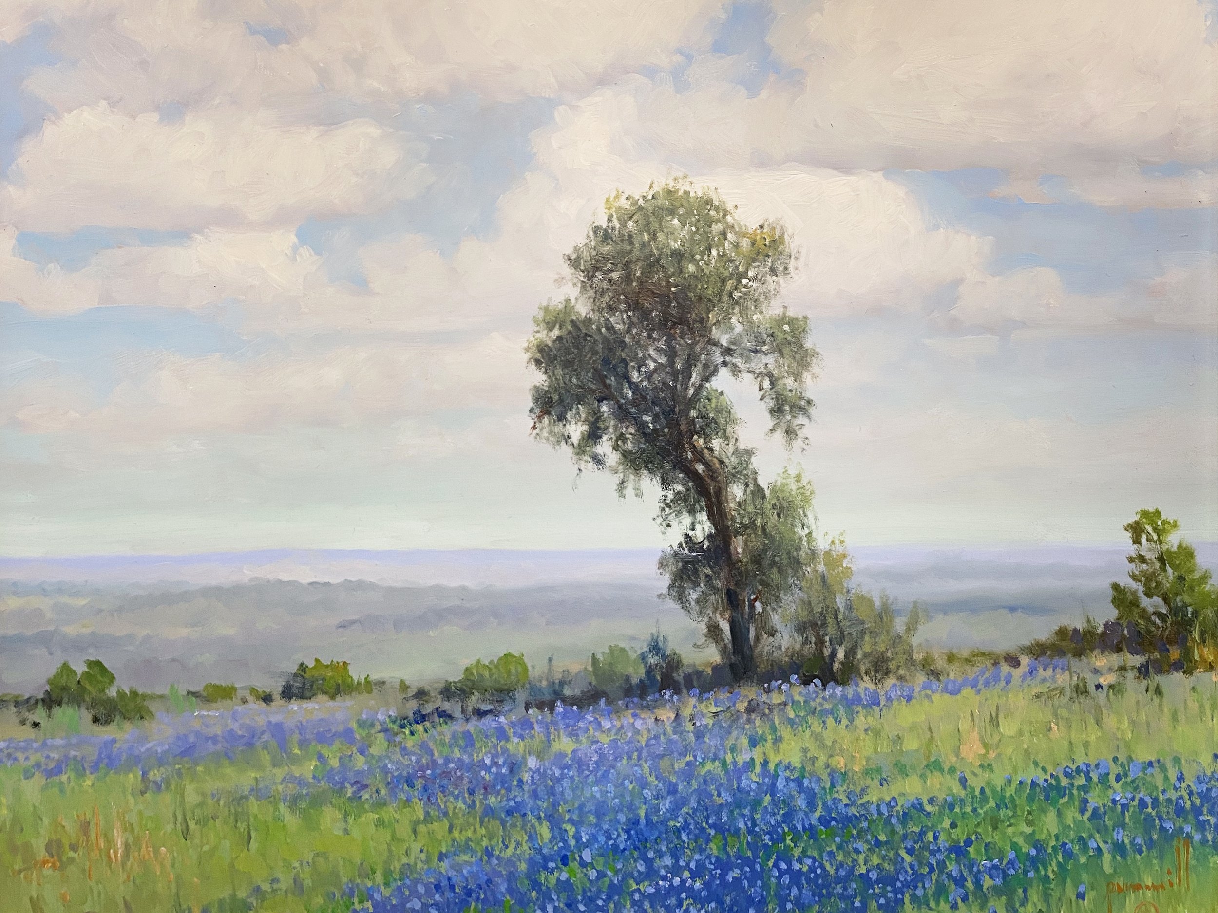 Robert Pummill — CLAGGETT/REY GALLERY