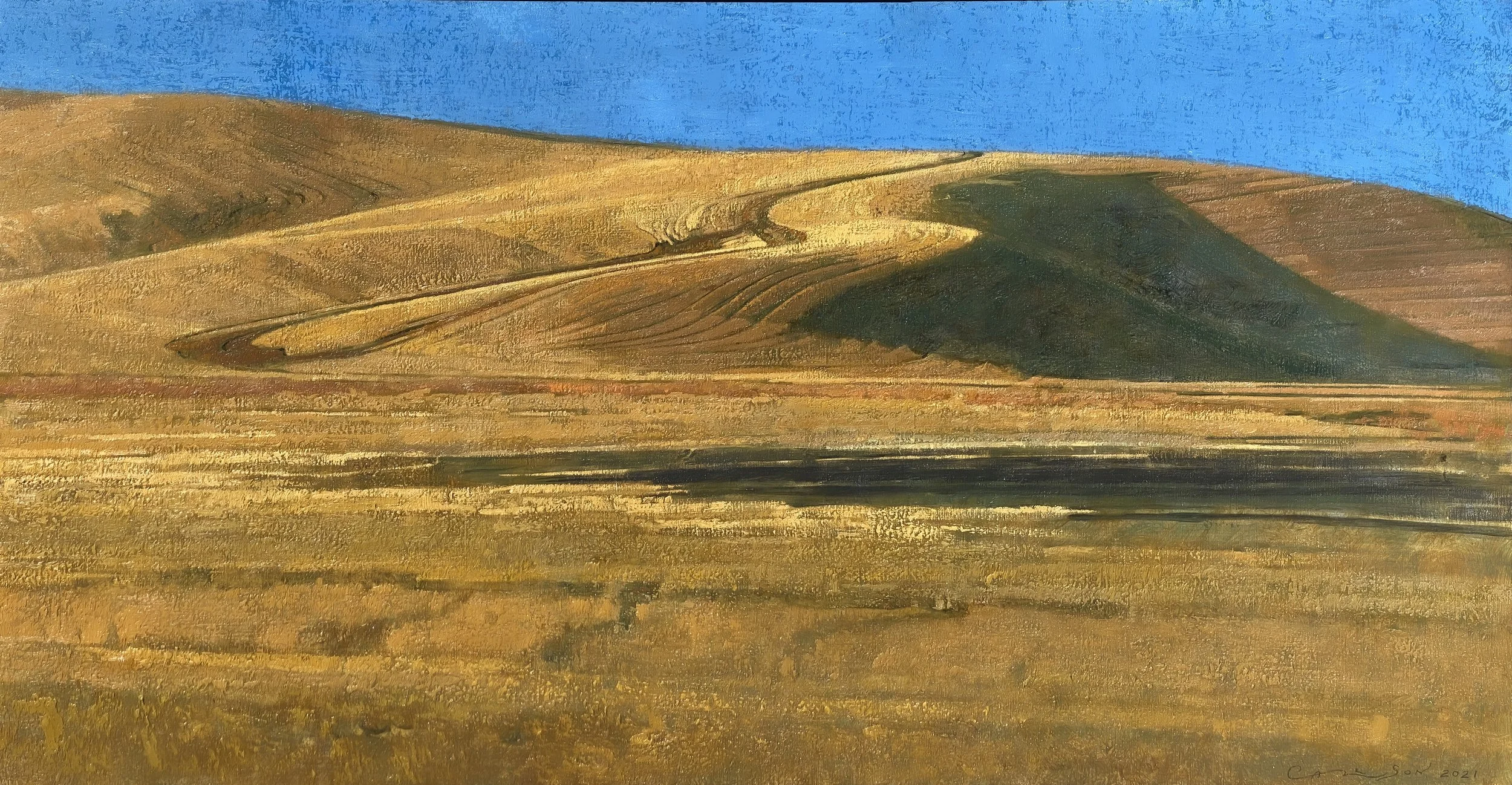 Paintings By Jane Carlson