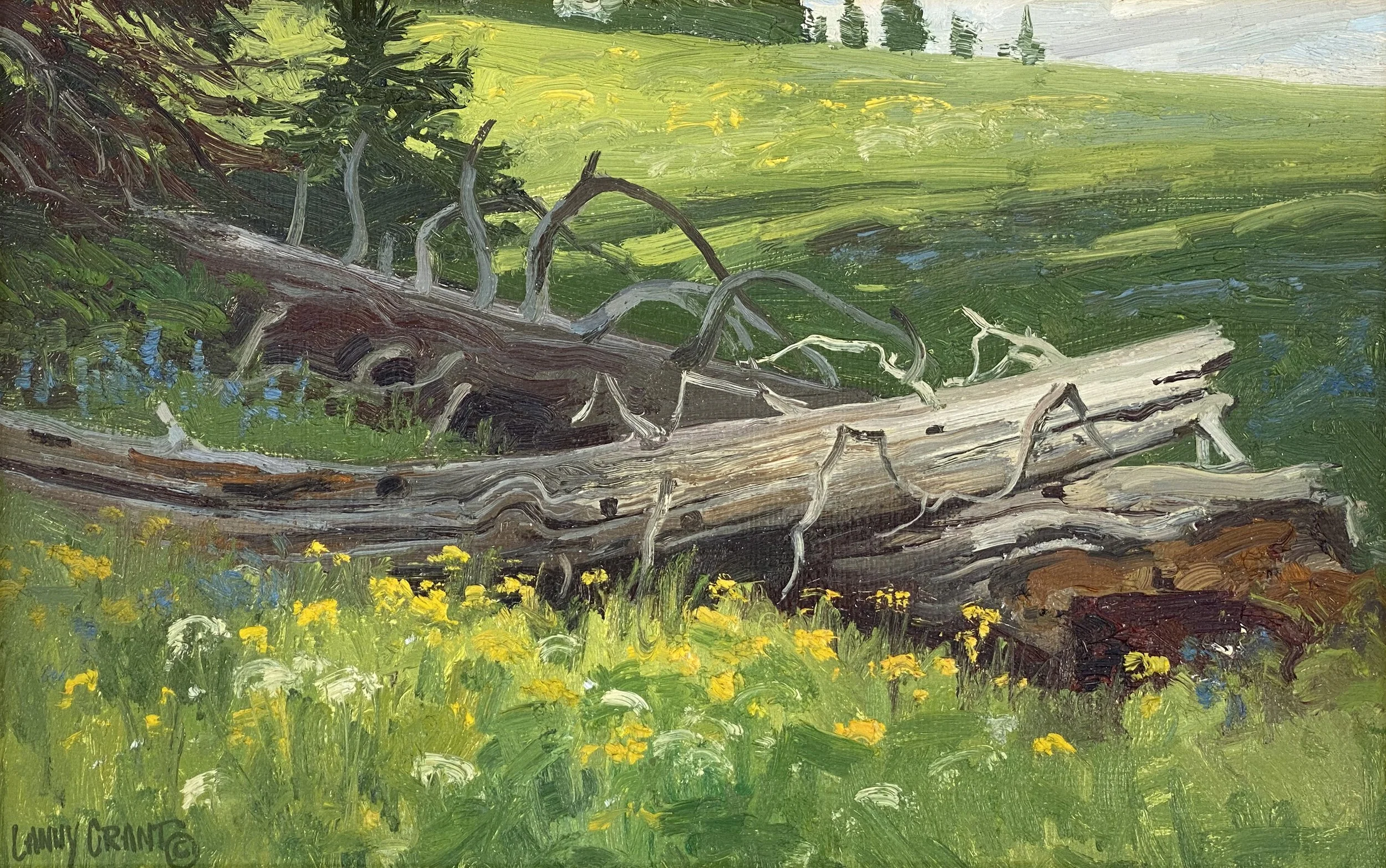 Lanny Grant — CLAGGETT/REY GALLERY