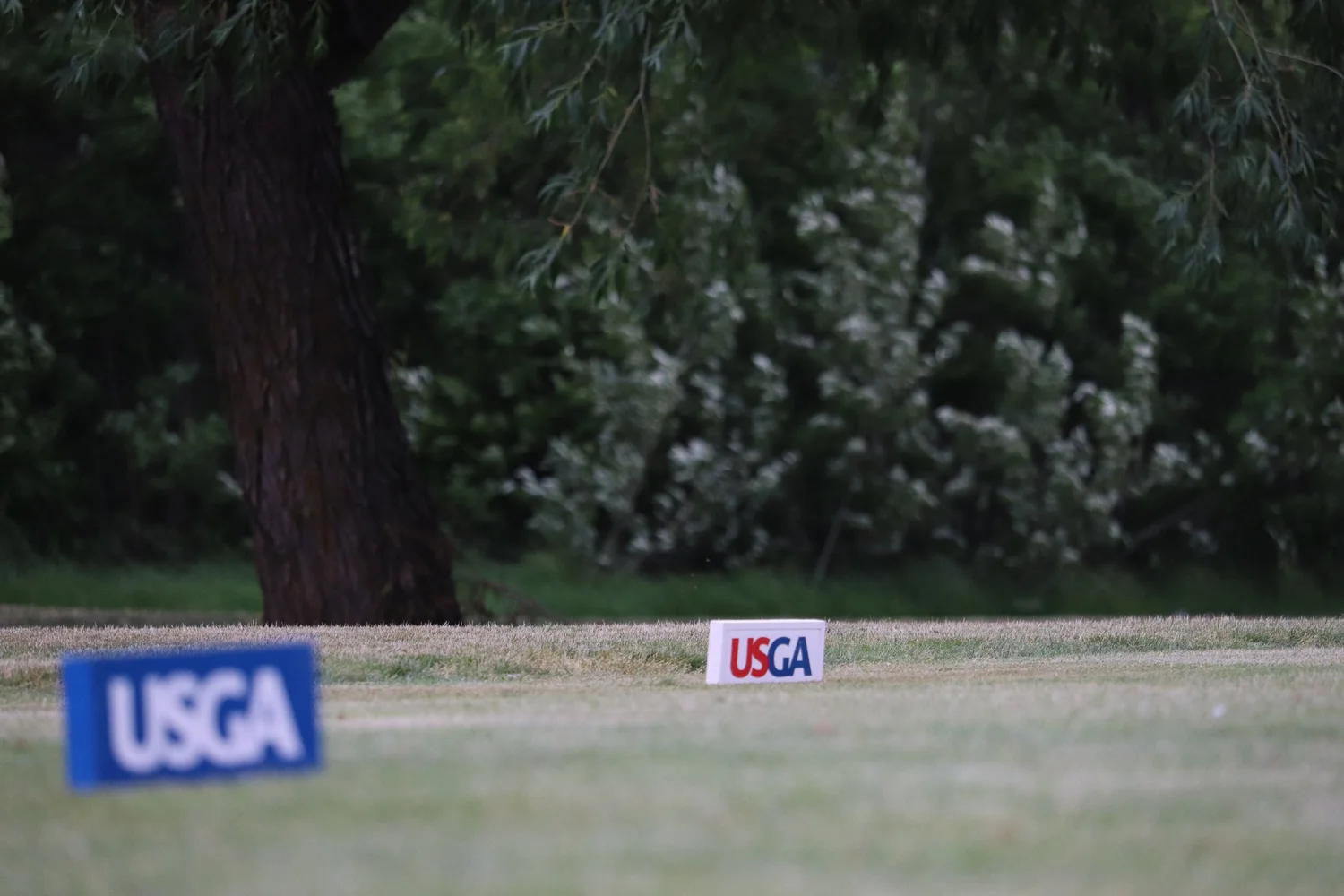 Put Me Down For a 5: What we talk about when we talk about tee boxes ...