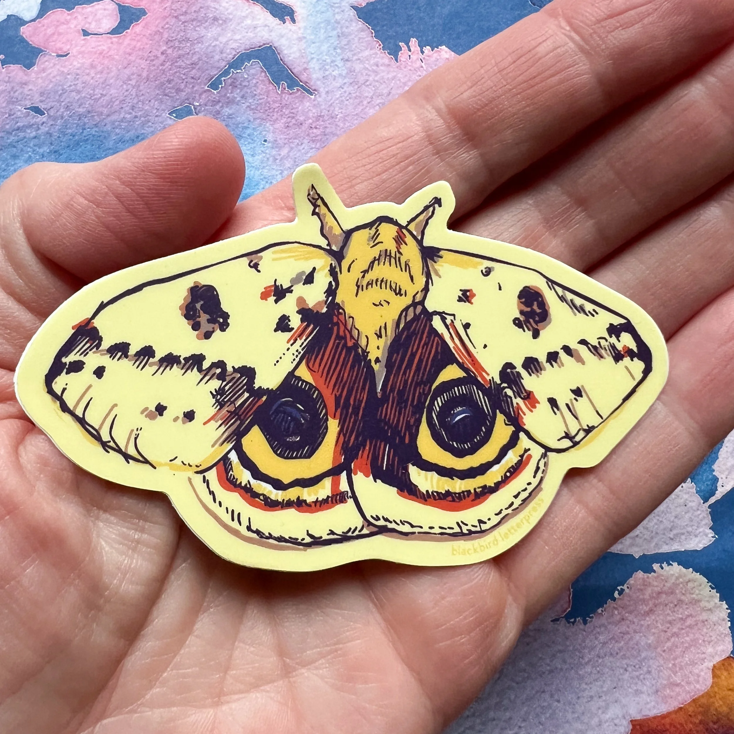 Io moth sticker — Blackbird Letterpress Wholesale
