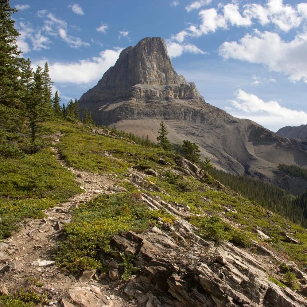 Half Day (moderate hike) — Jasper Hikes & Tours Inc.
