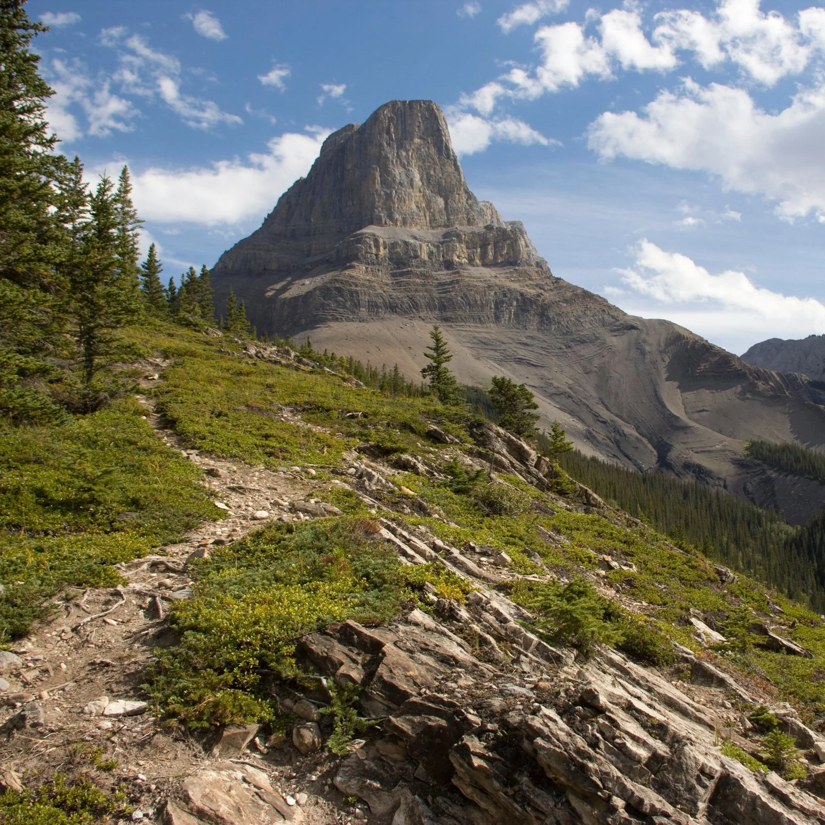 Half Day (moderate hike) — Jasper Hikes & Tours Inc.