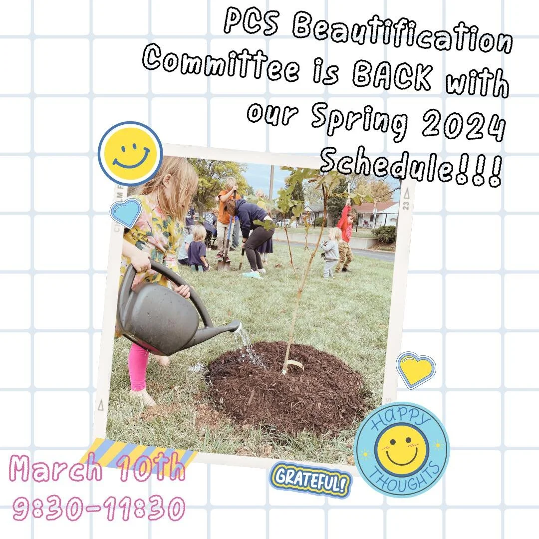 K-8 Charter School in St. Louis - Premier Charter School