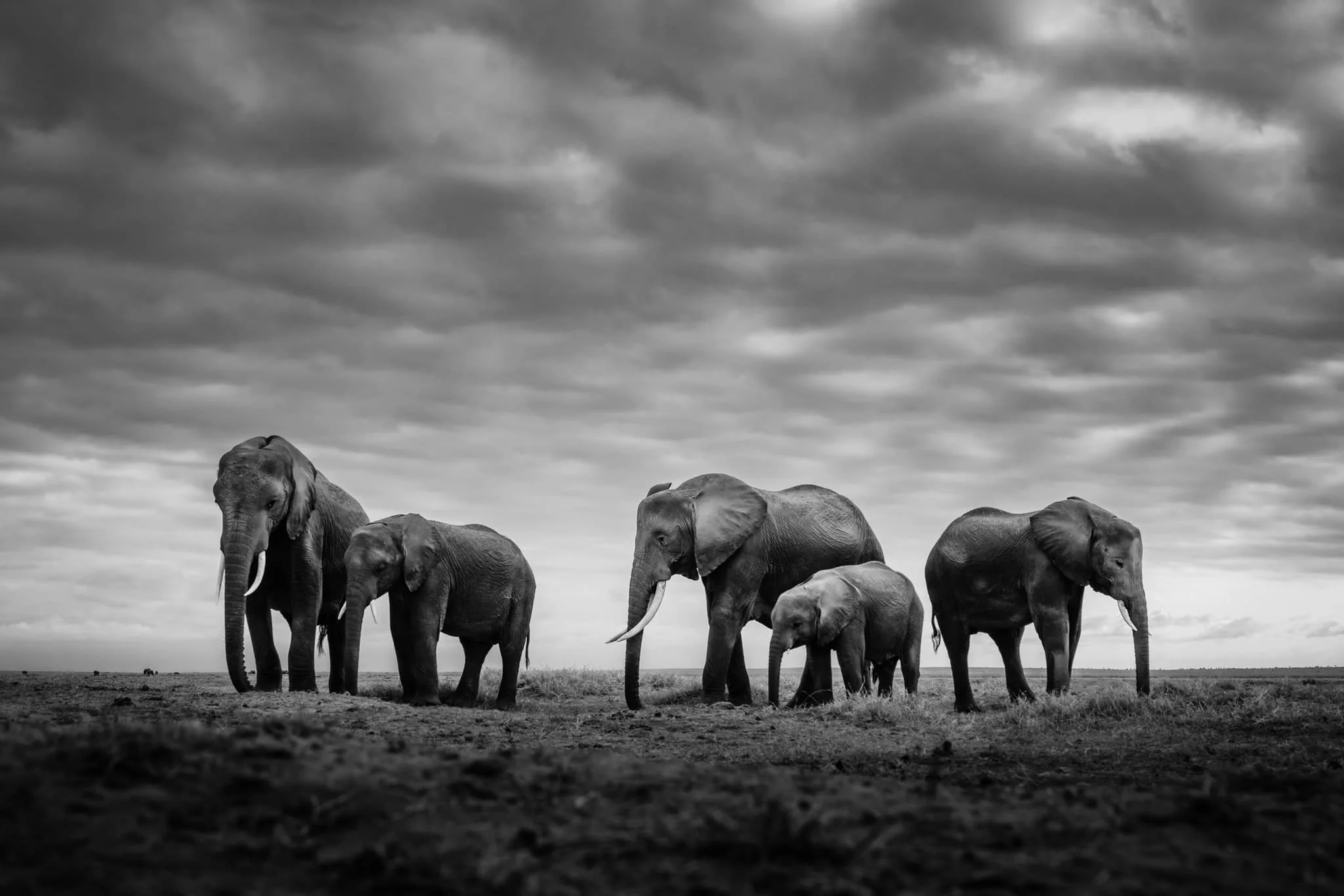 Amazing Real Photos In The World