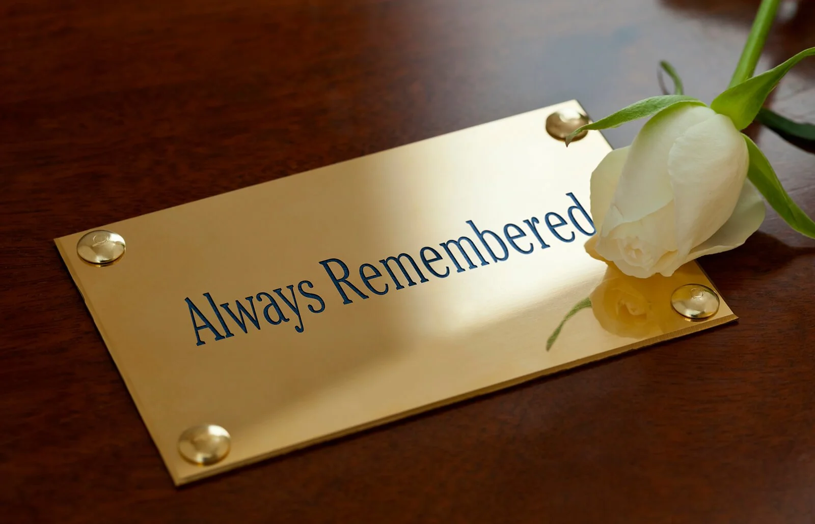 Videographers for Funeral Livestream Services in Queenstown & Wanaka