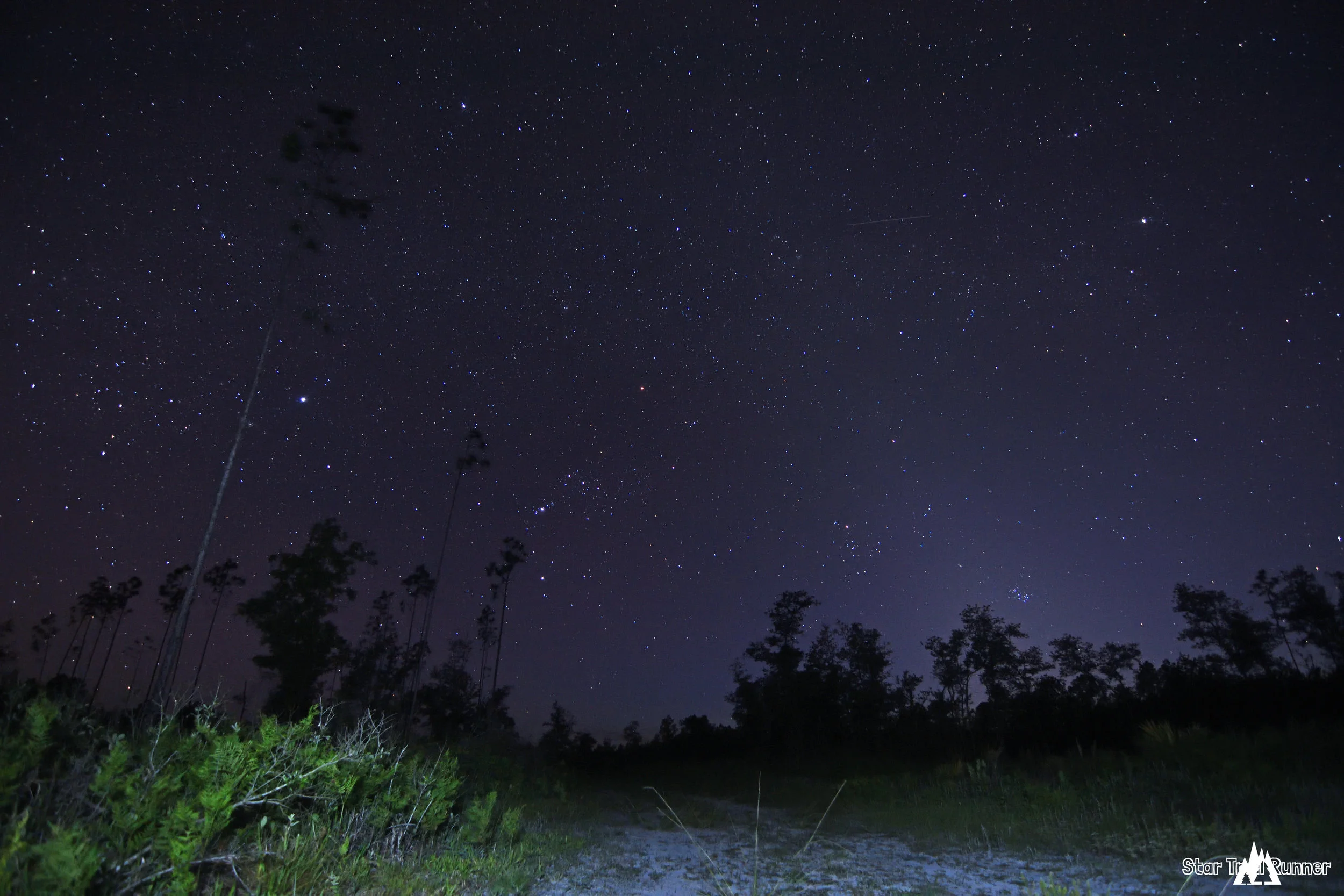 Goethe State Forest — Star Trail Runner