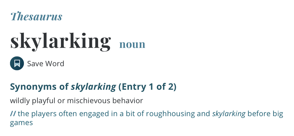 Skylarking. In Person. With You. — skylark bookshop