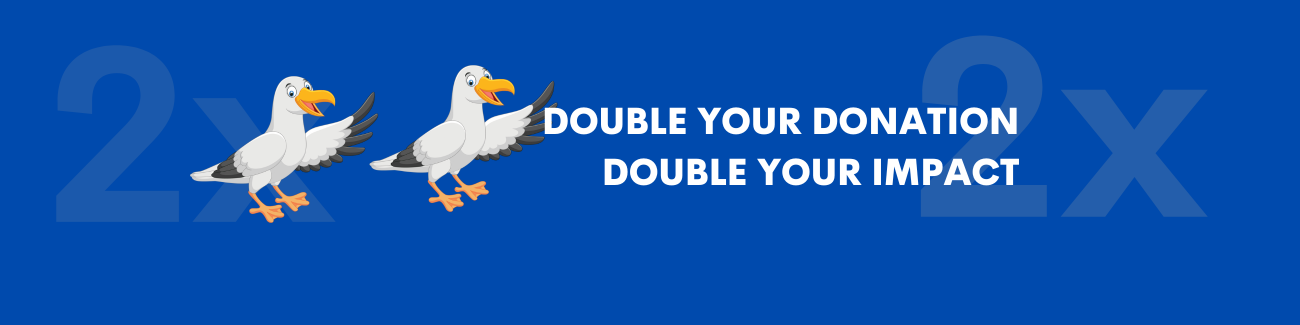 Donate the Donation — Sunset Hills Education Foundation