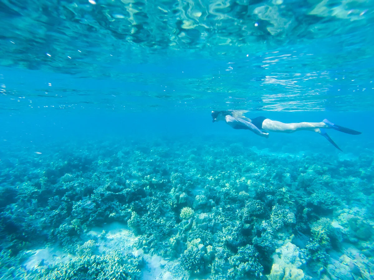 5 Yawuru phrases to learn for your visit to Broome — A local guide to ...