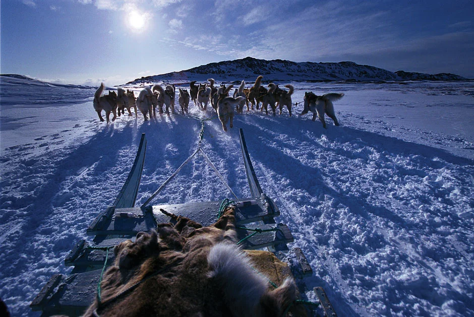 Ice Cube Project — Evaristti Studios