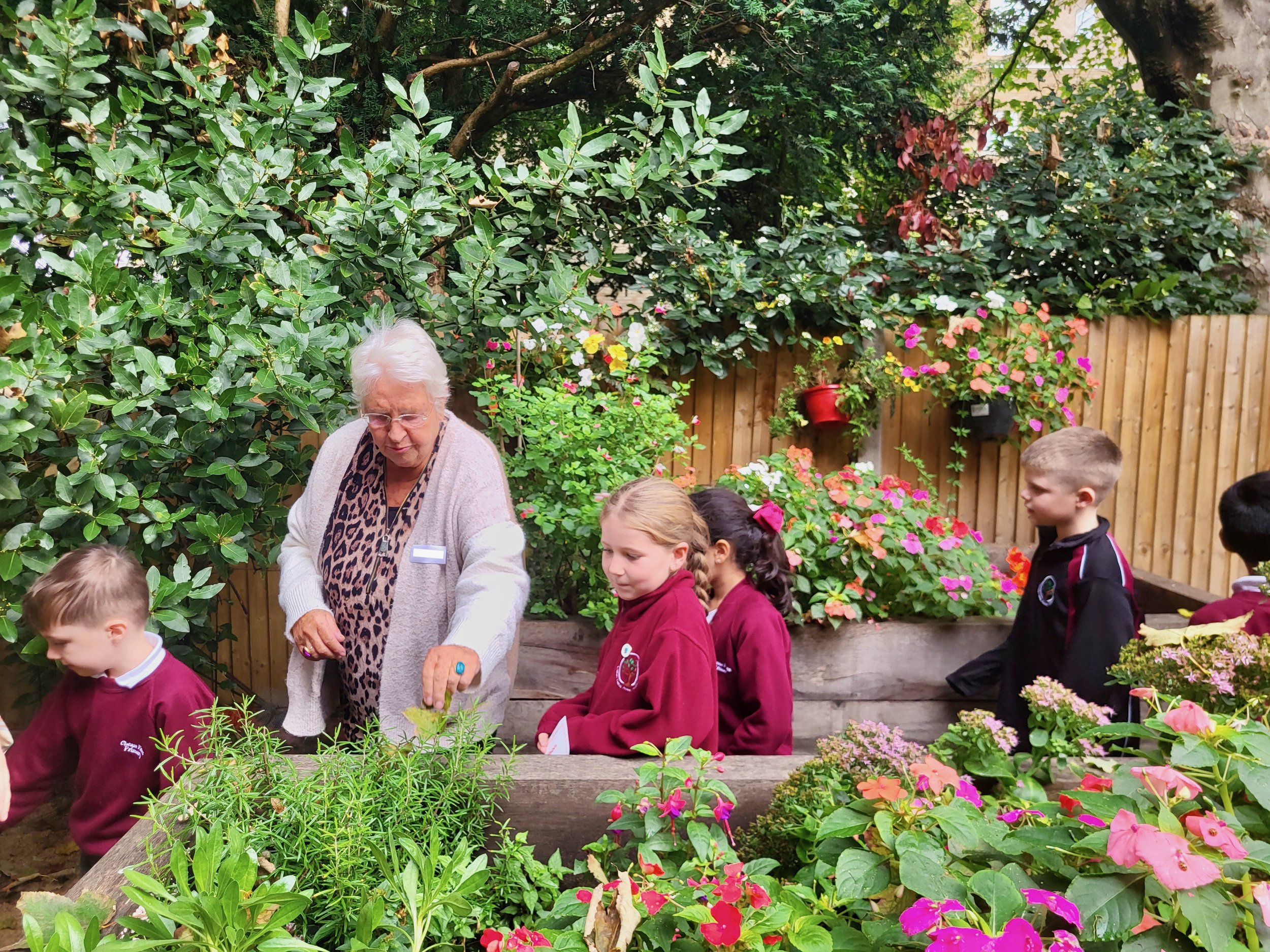 Intergenerational Programmes — InCommon