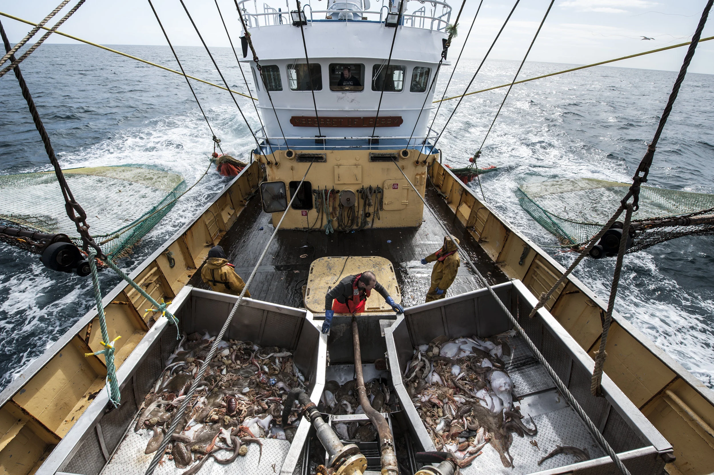 Beam trawling — Waterdance Fishing