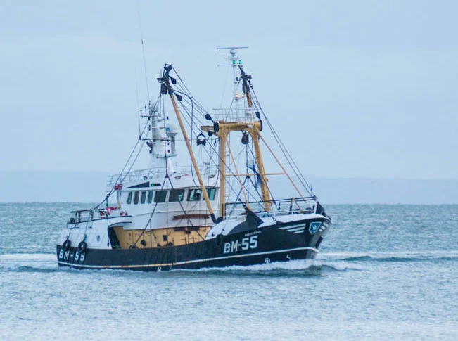 Beam Trawlers - The Best Picture Of Beam