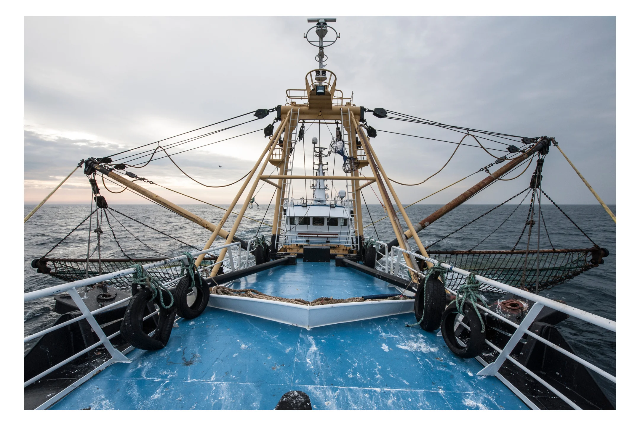 Beam Trawl Shoes - The Best Picture Of Beam