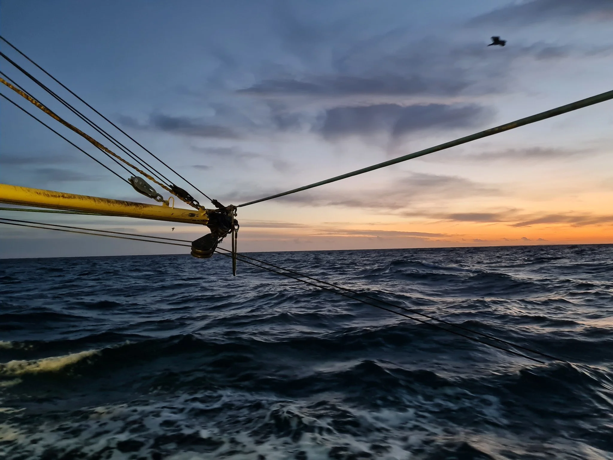 News — Waterdance Fishing