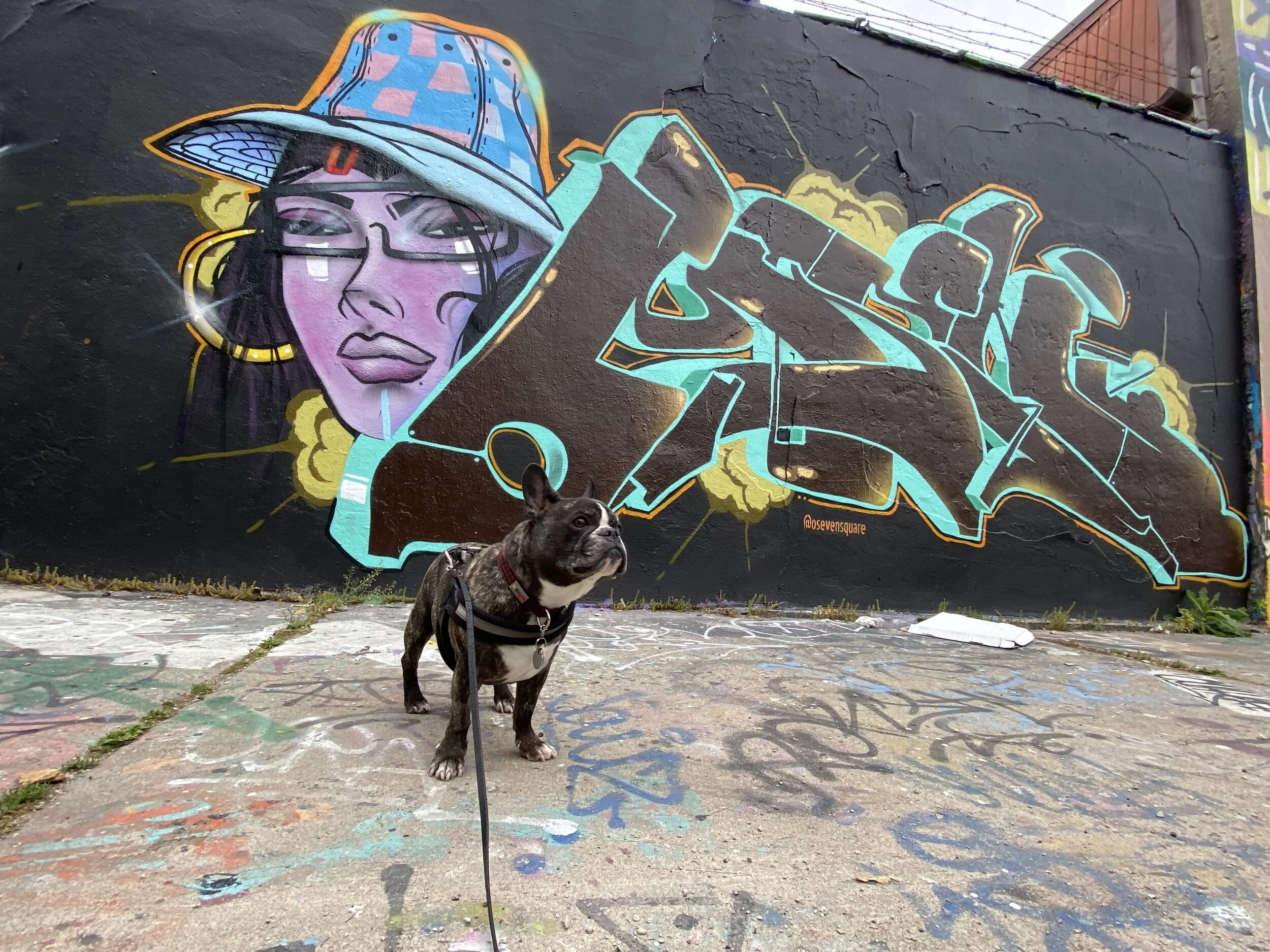 Chicago Street Art Graffiti – Graffiti vs Street Art: What’s The ...