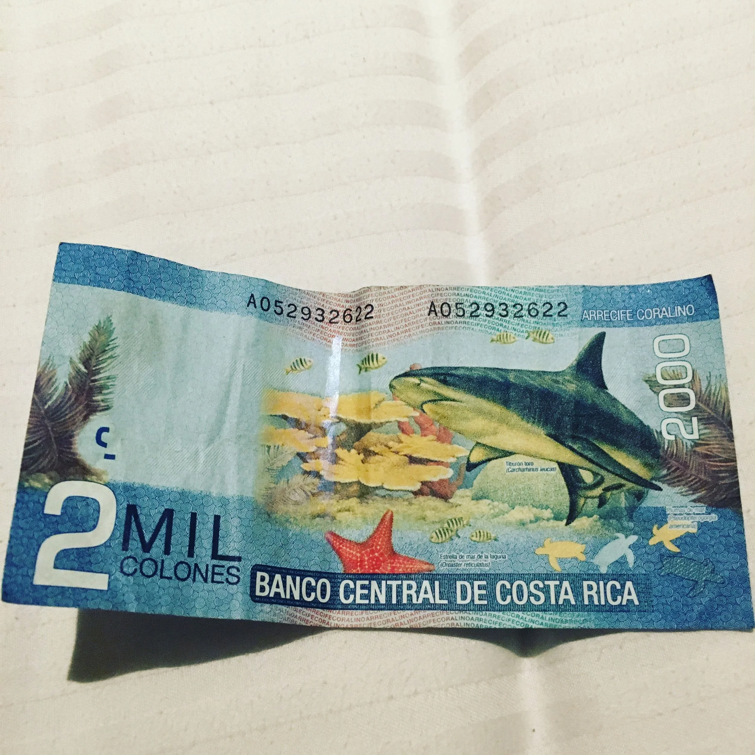 Things to Do In Guanacaste Costa Rica: A Guide for Disabled Travelers ...