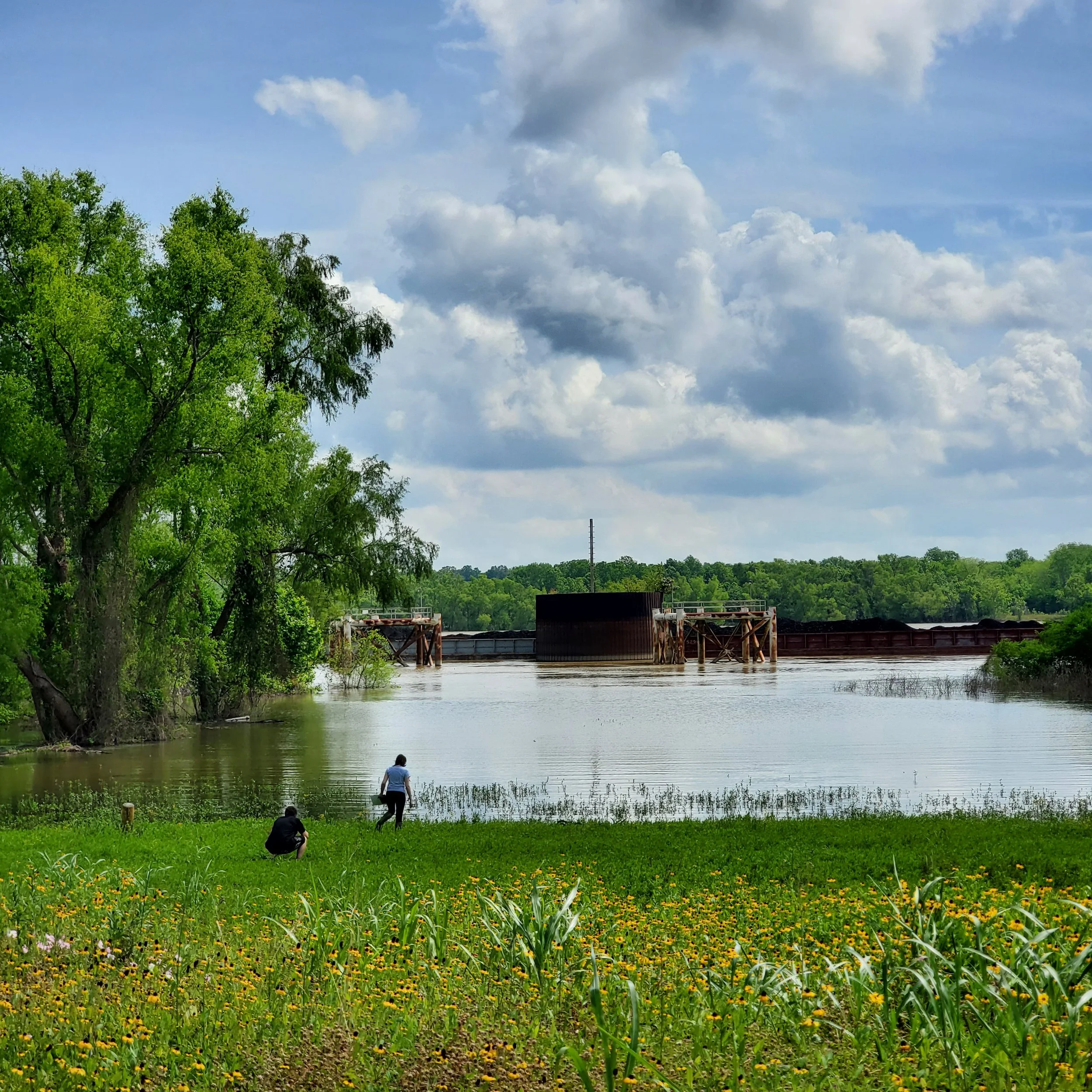 The Water Collaborative