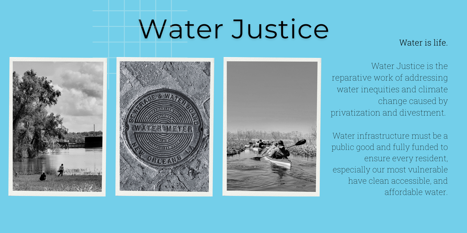 The Water Collaborative