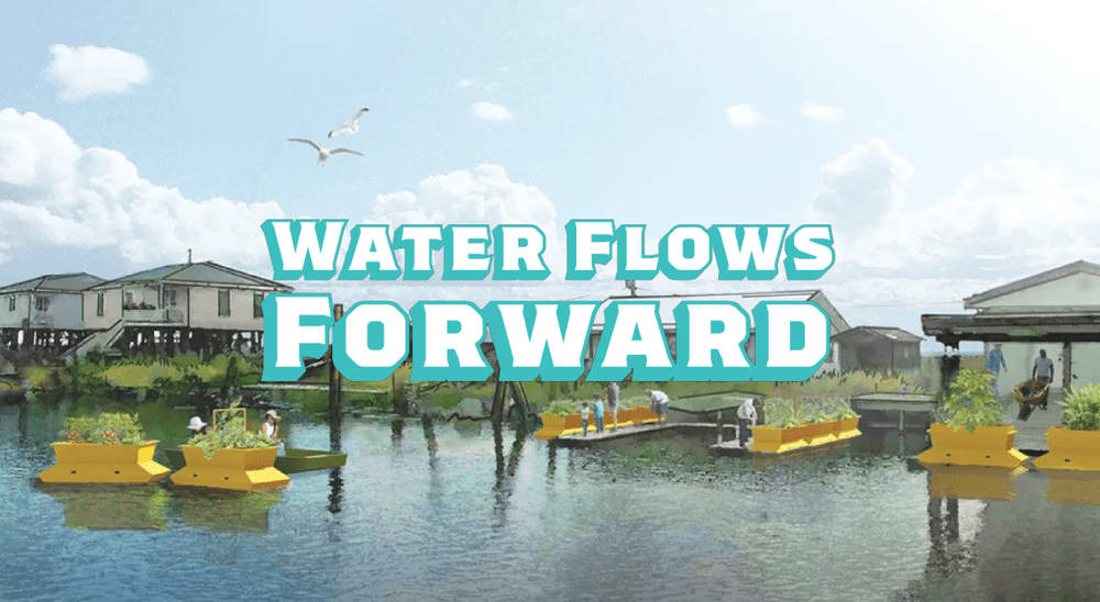 The Water Collaborative