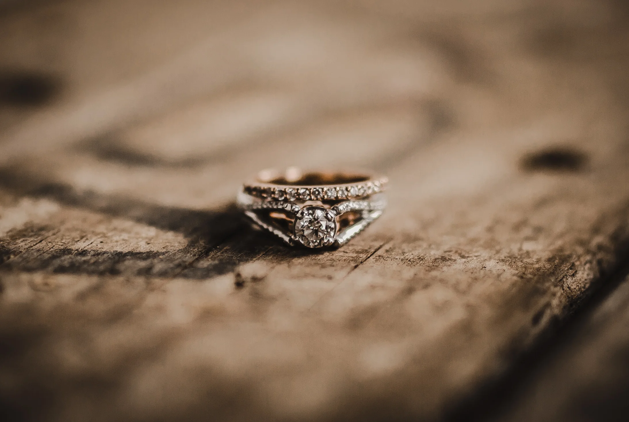 Gallery — Jonathan Webster Photography