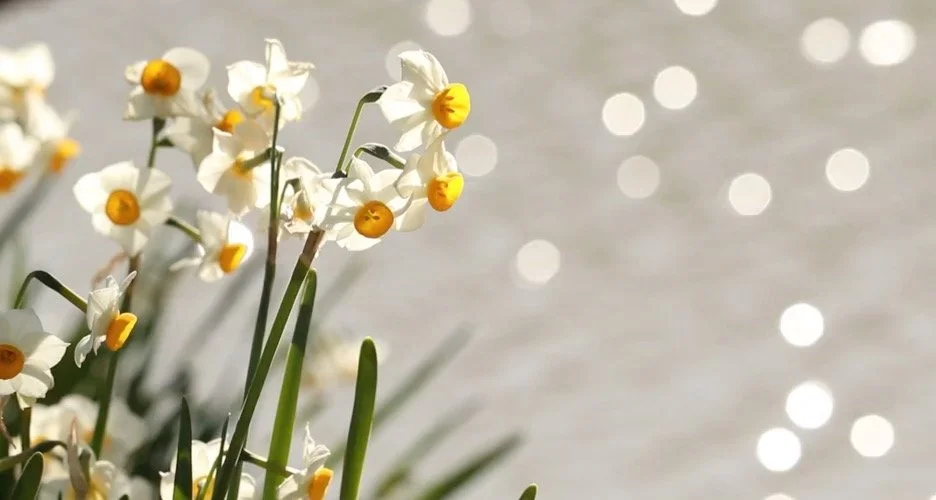 Spring Street Exchange