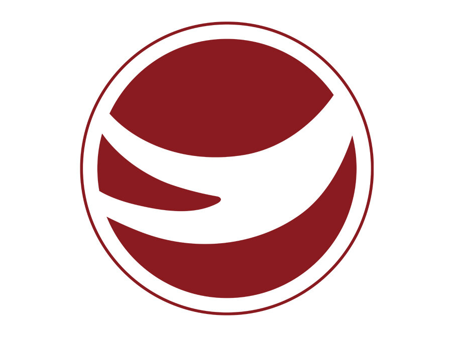 2020 Leadership Institute — GlobeMed