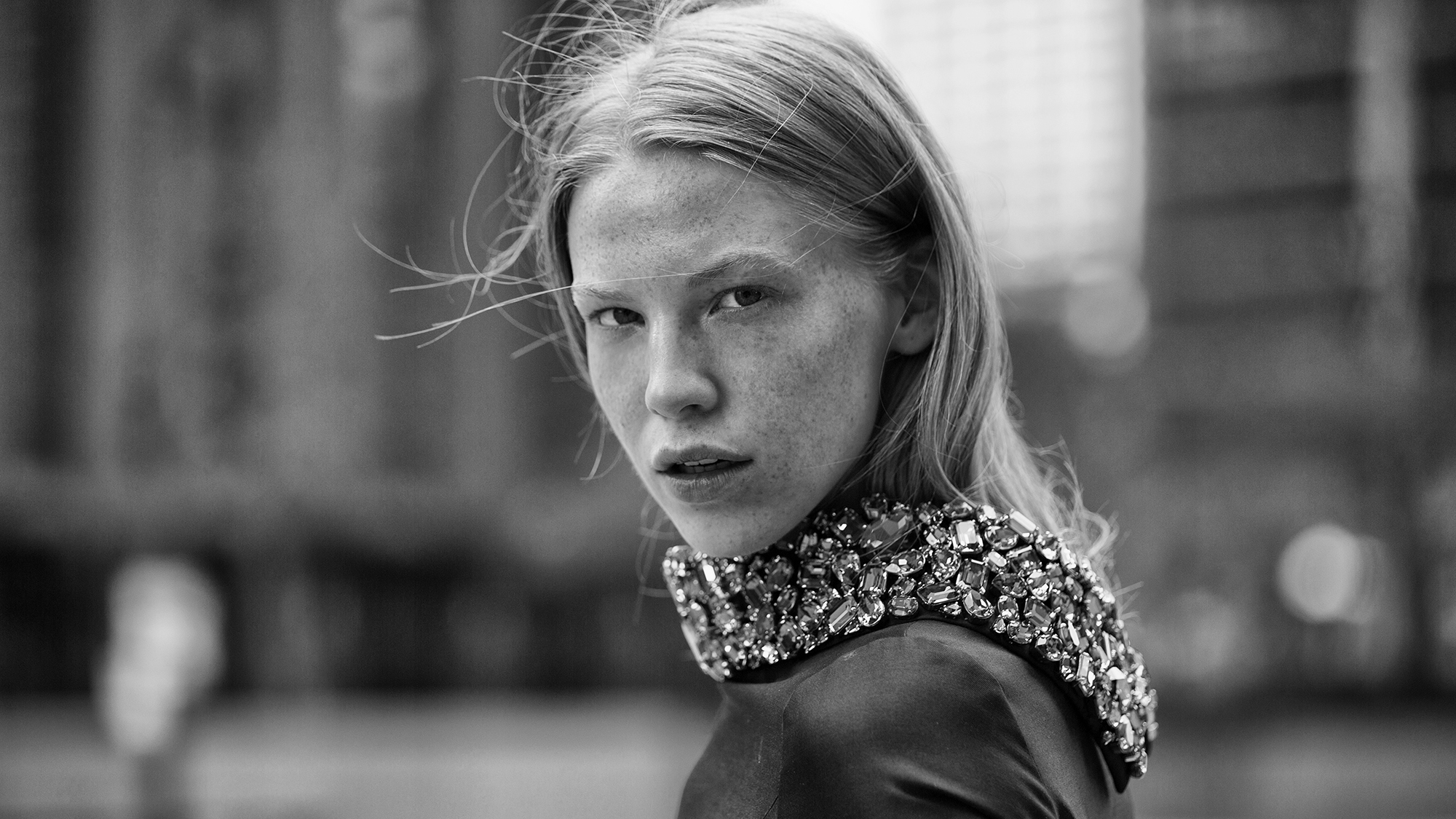 The Law Office of David C. Deal