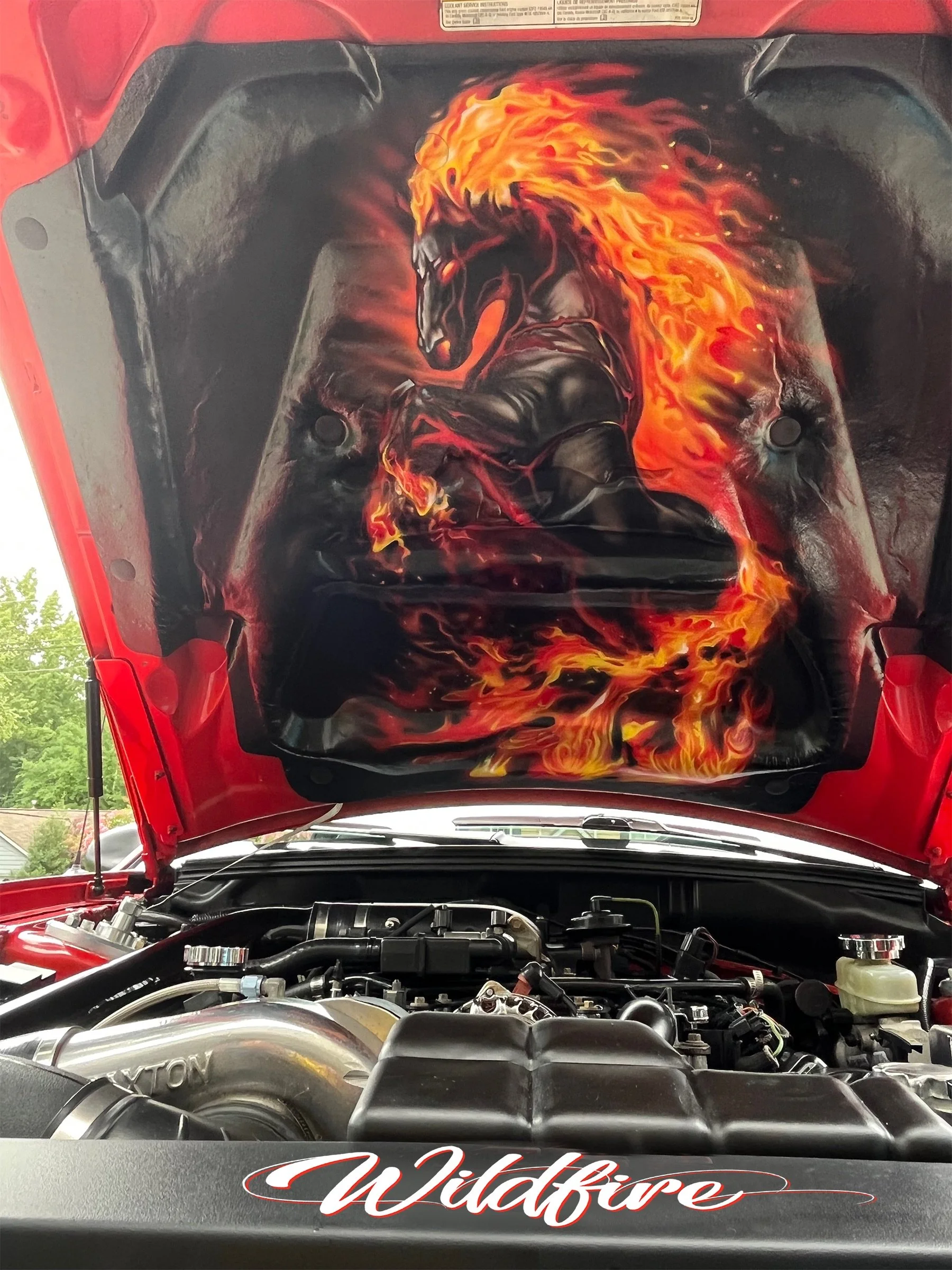 Airbrushed Hood Liners