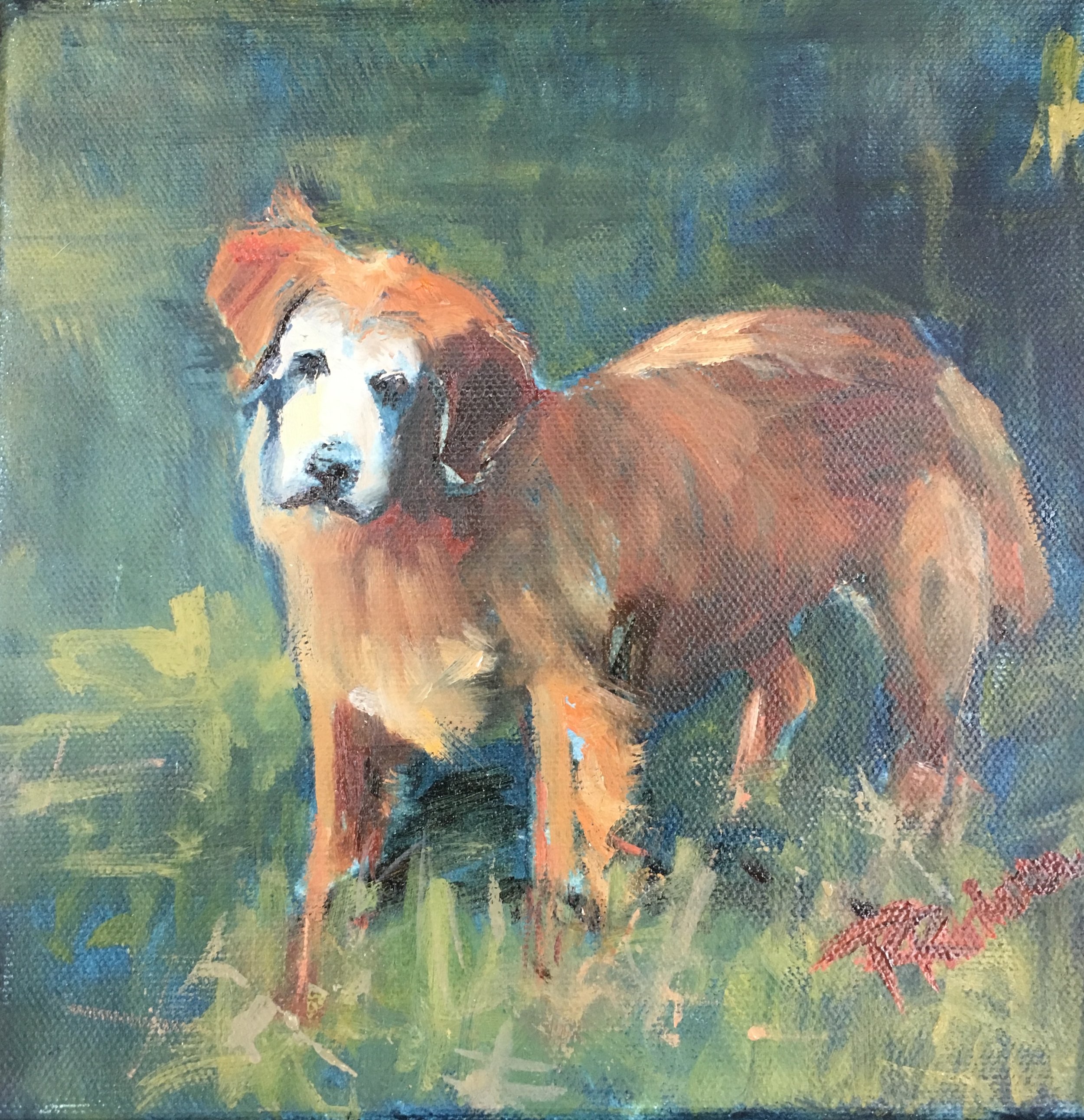 Robin's Paintings — Christopher Robin Arts