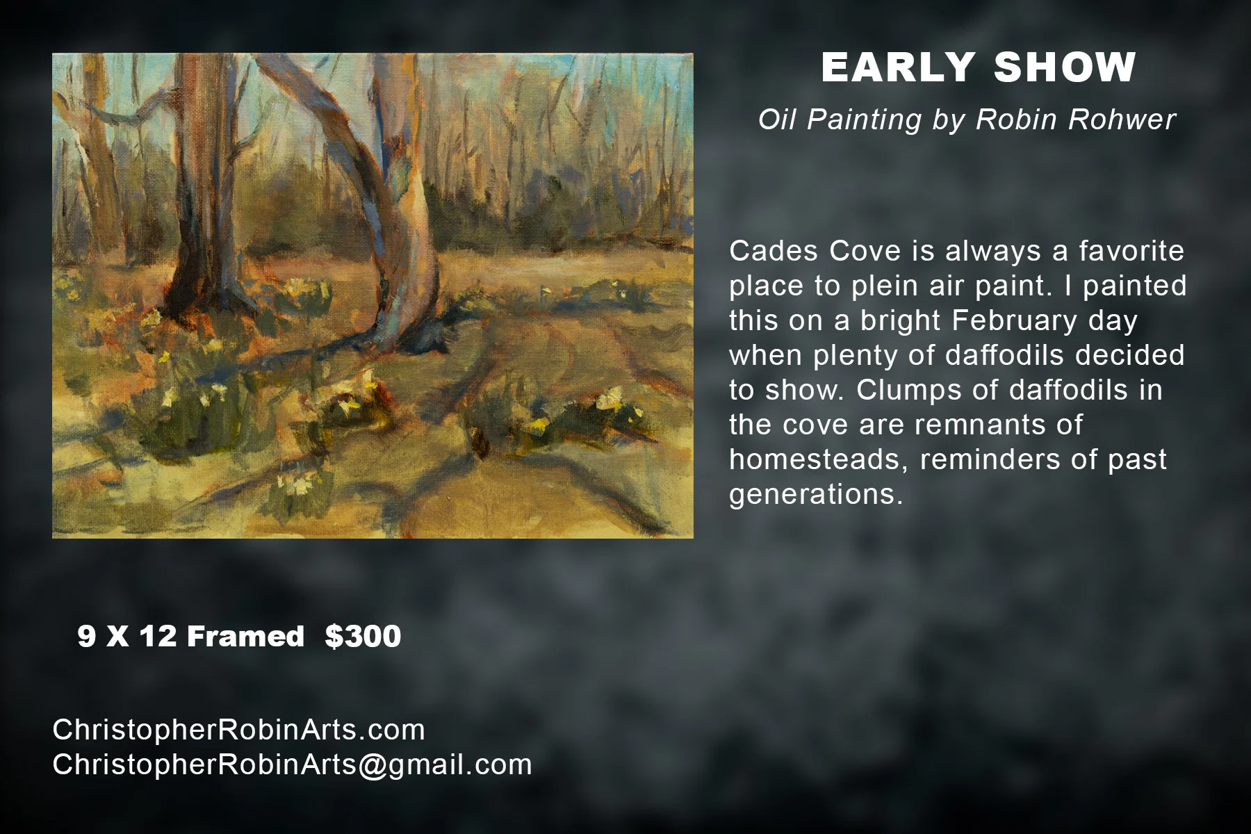 Purchase Robin's Artwork — Christopher Robin Arts