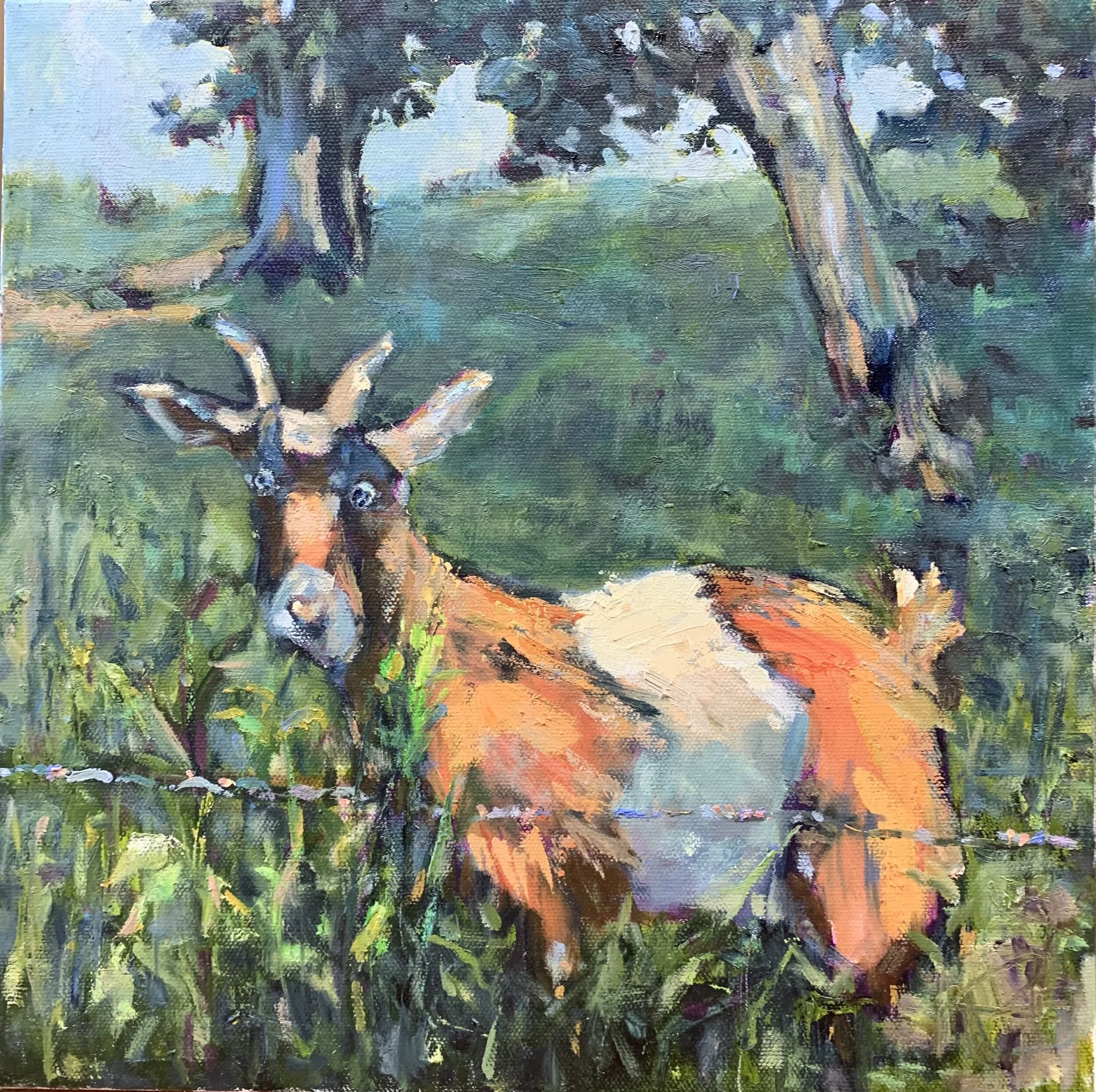 Robin's Paintings — Christopher Robin Arts