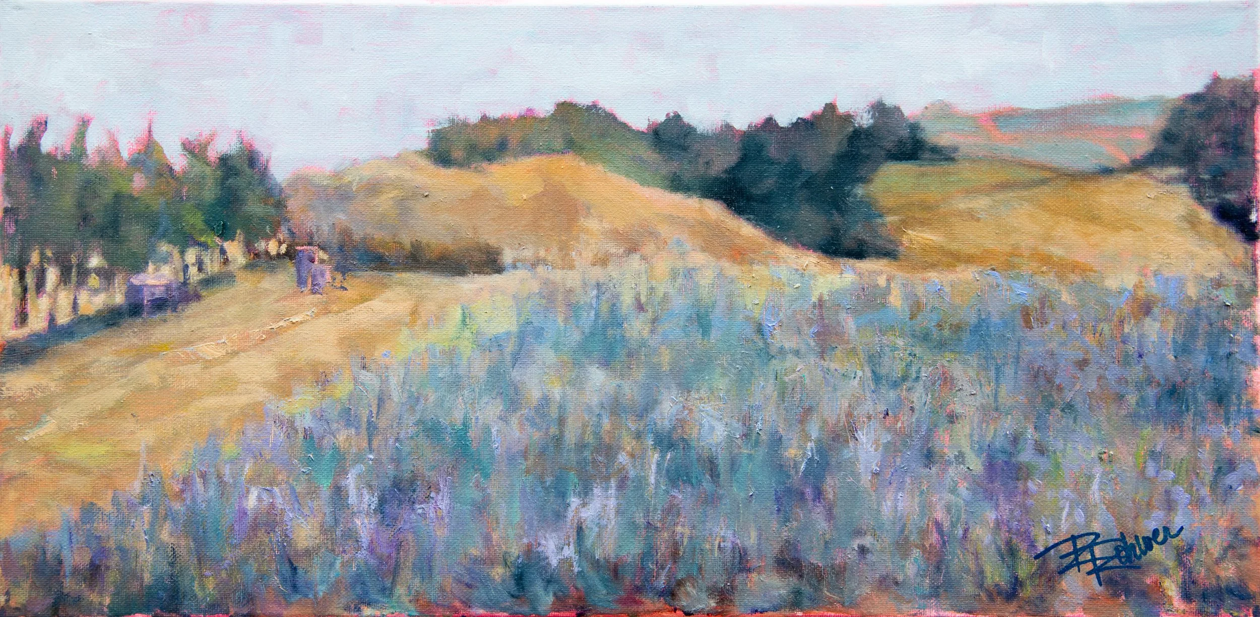 Robin's Paintings — Christopher Robin Arts
