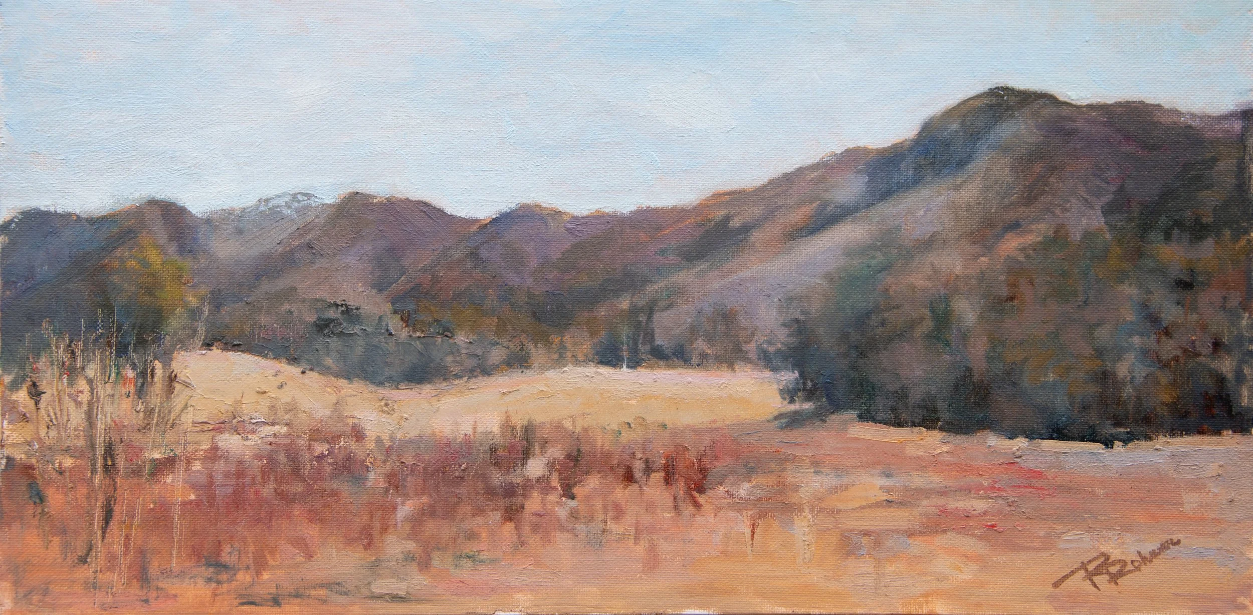 Robin's Paintings — Christopher Robin Arts