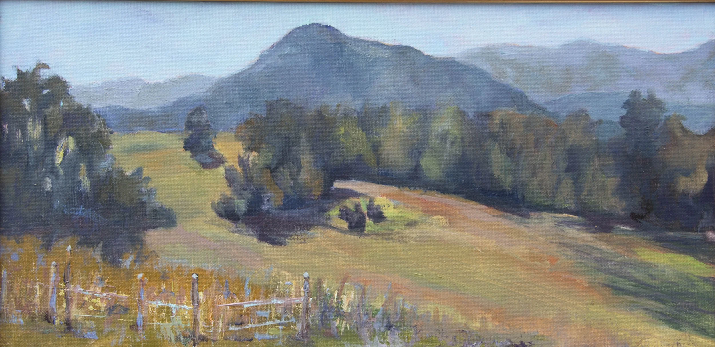 Robin's Paintings — Christopher Robin Arts