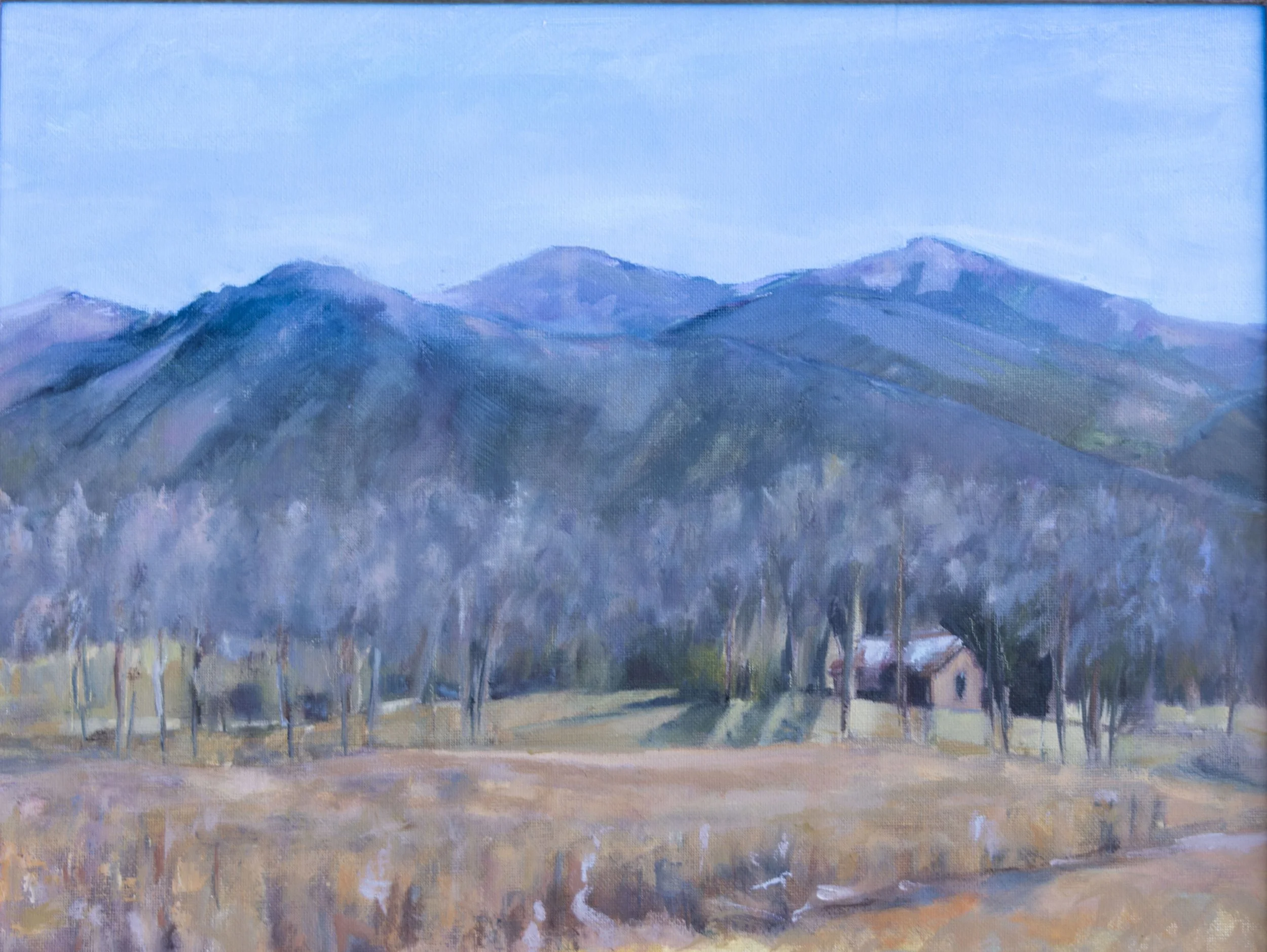 Robin's Paintings — Christopher Robin Arts