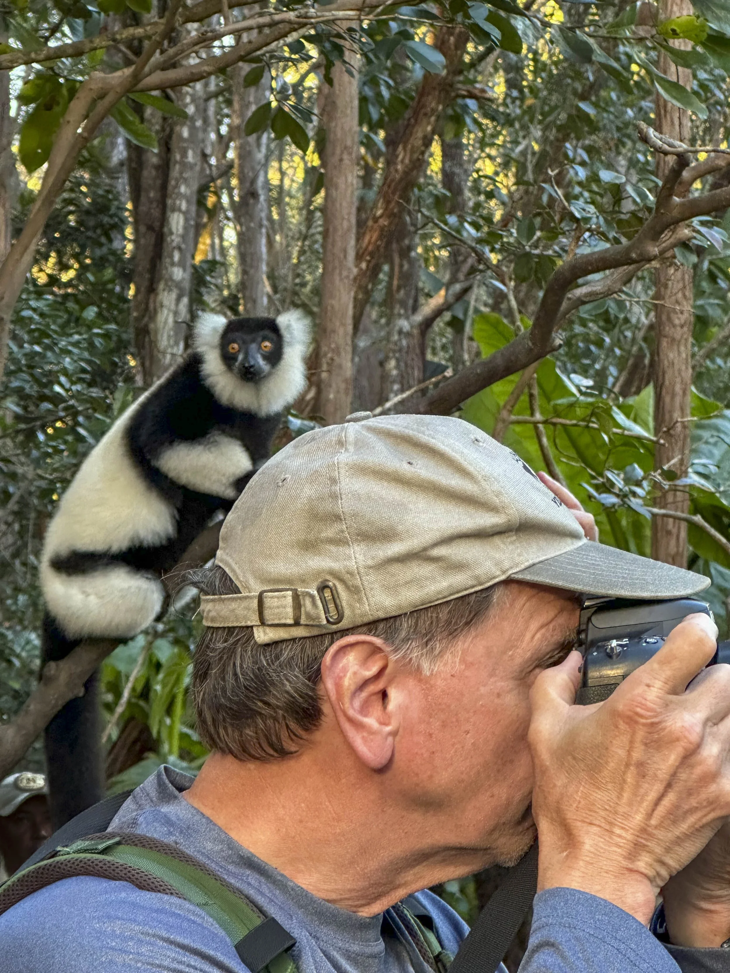 Amazing Madagascar — Christopher Robin Arts