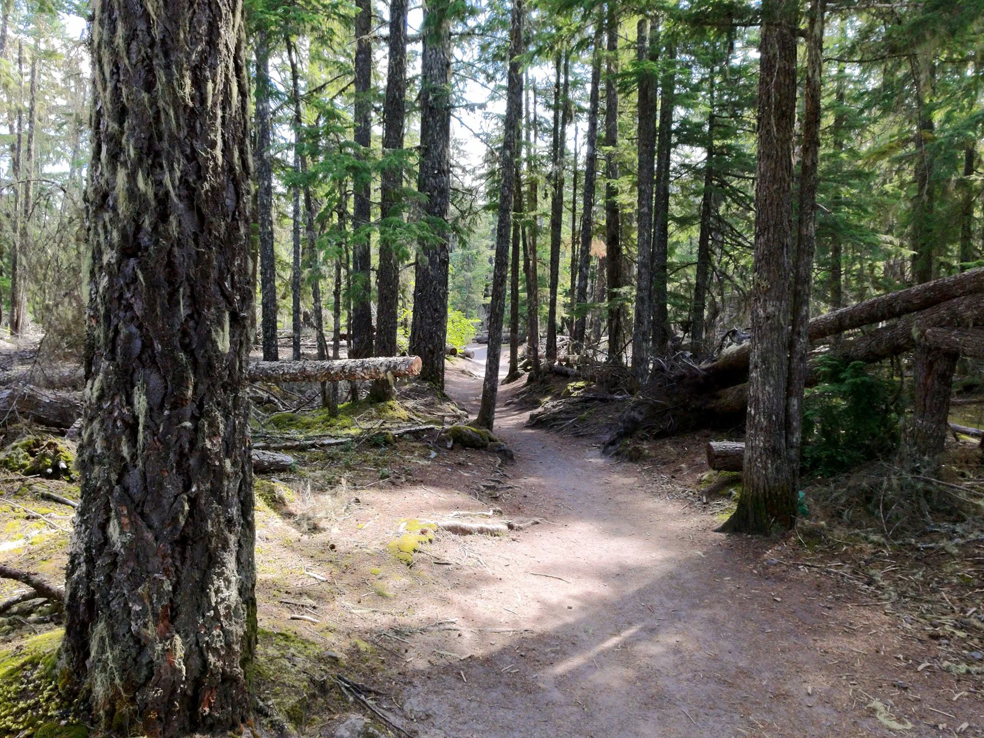 Sandy River — Southern Minnesota Guy