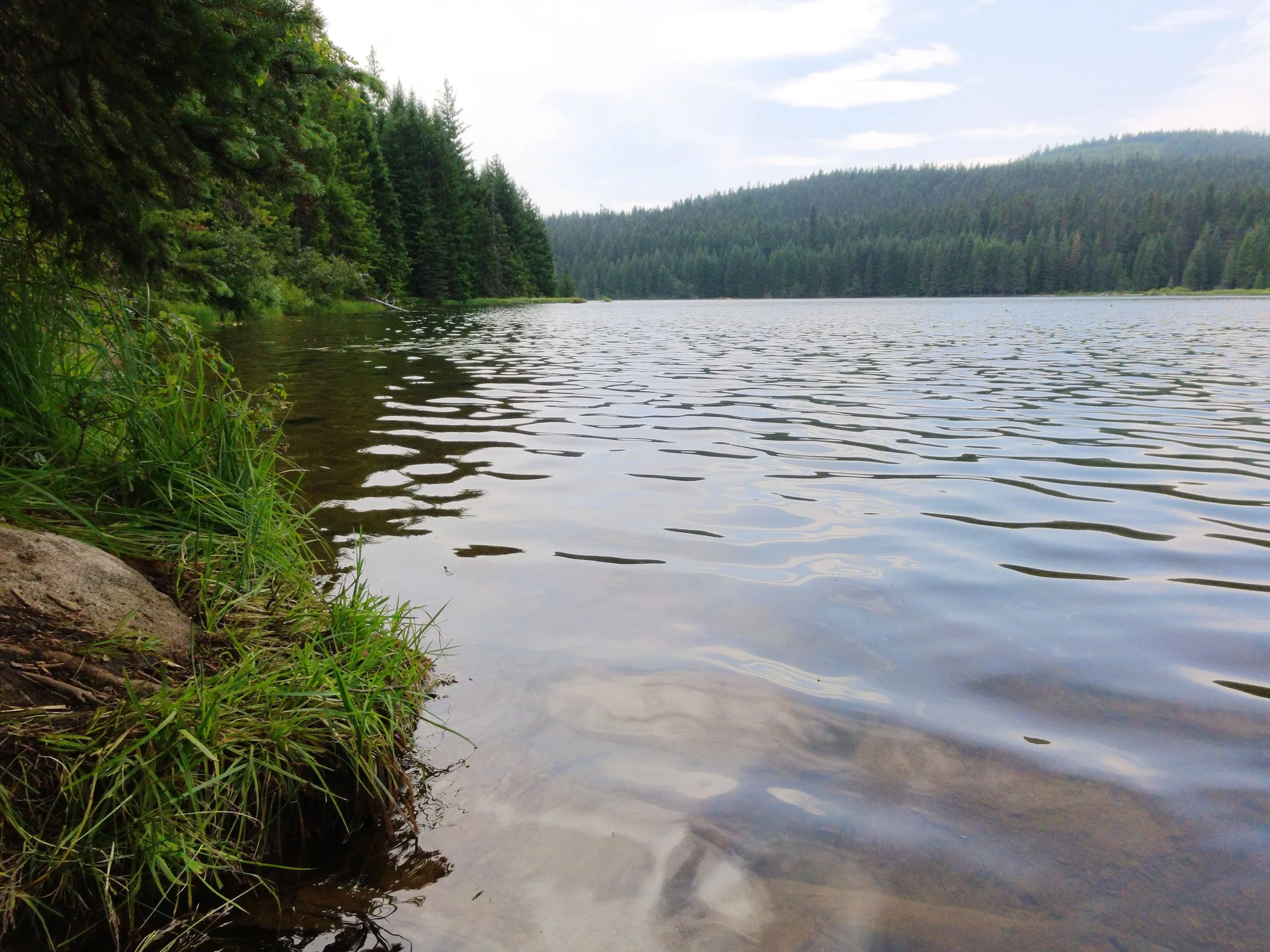 Timothy Lake Trail — Southern Minnesota Guy