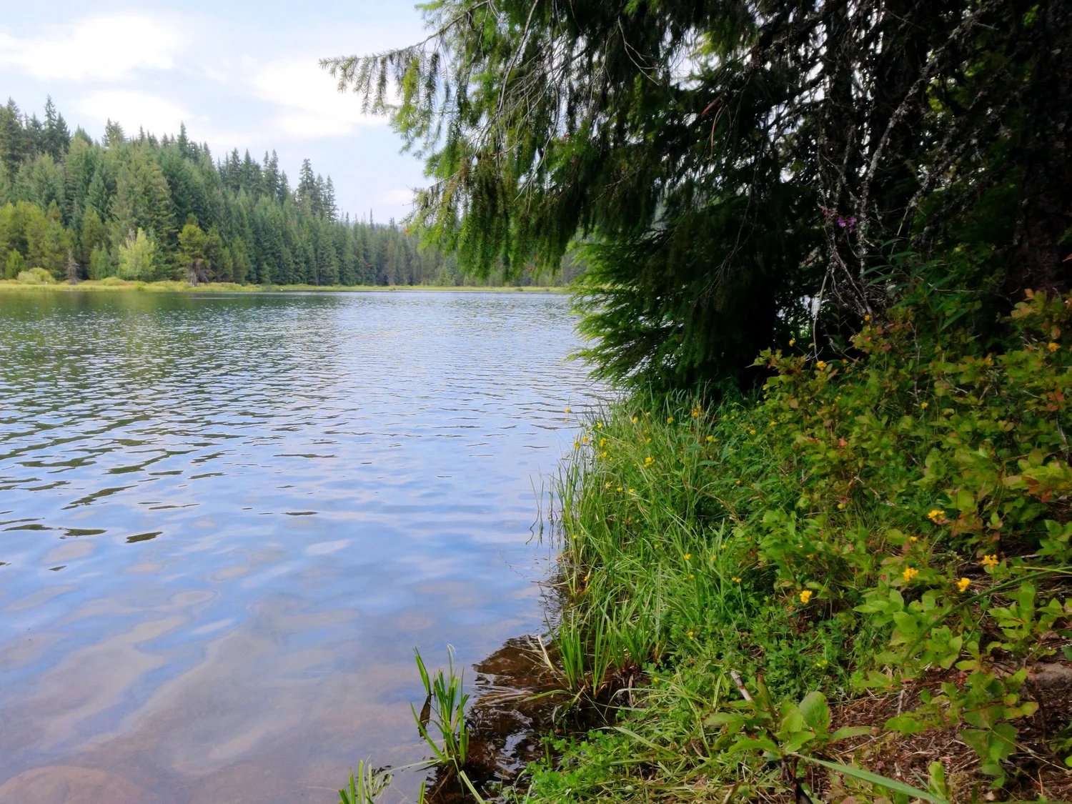 Timothy Lake Trail — Southern Minnesota Guy