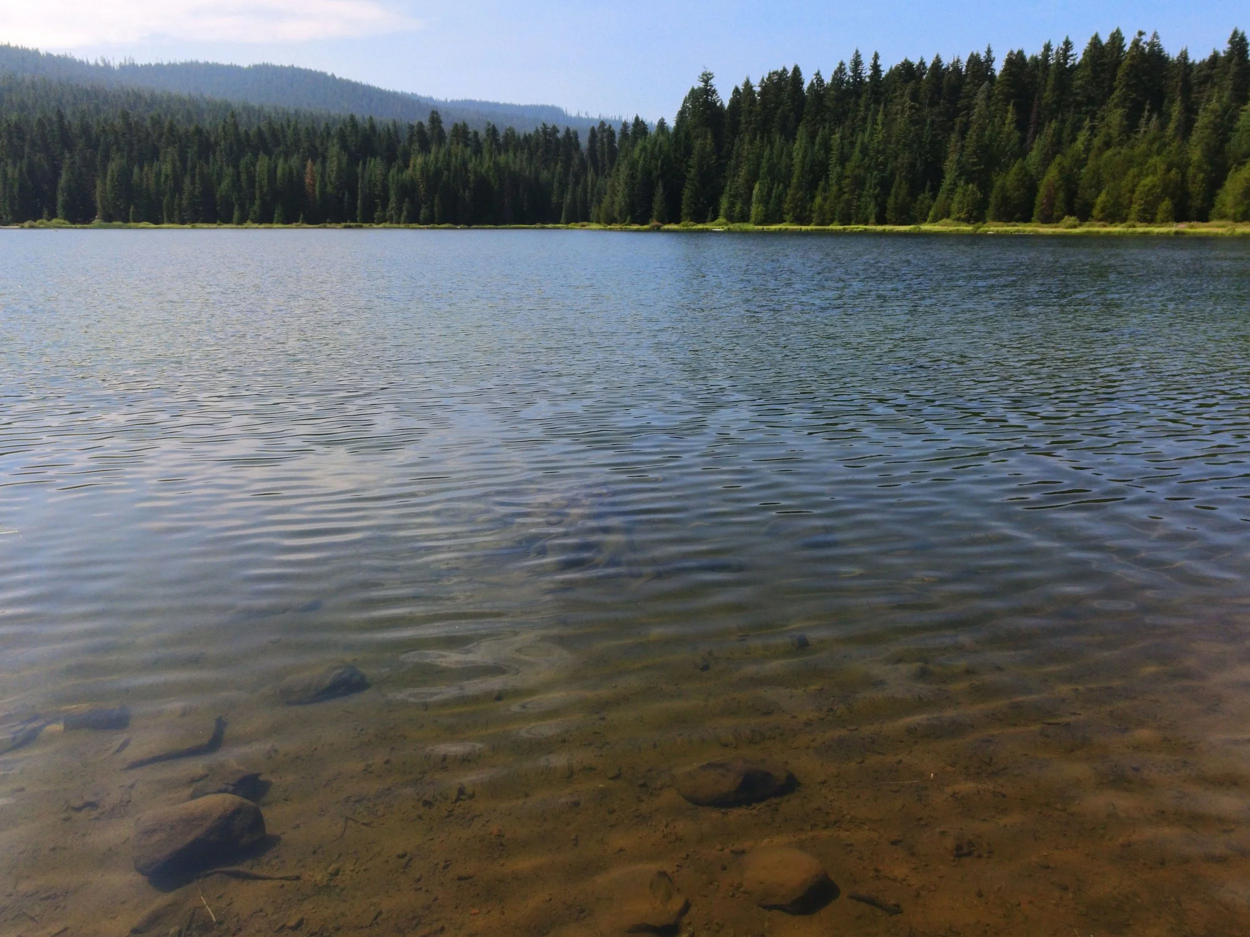 Timothy Lake Trail — Southern Minnesota Guy