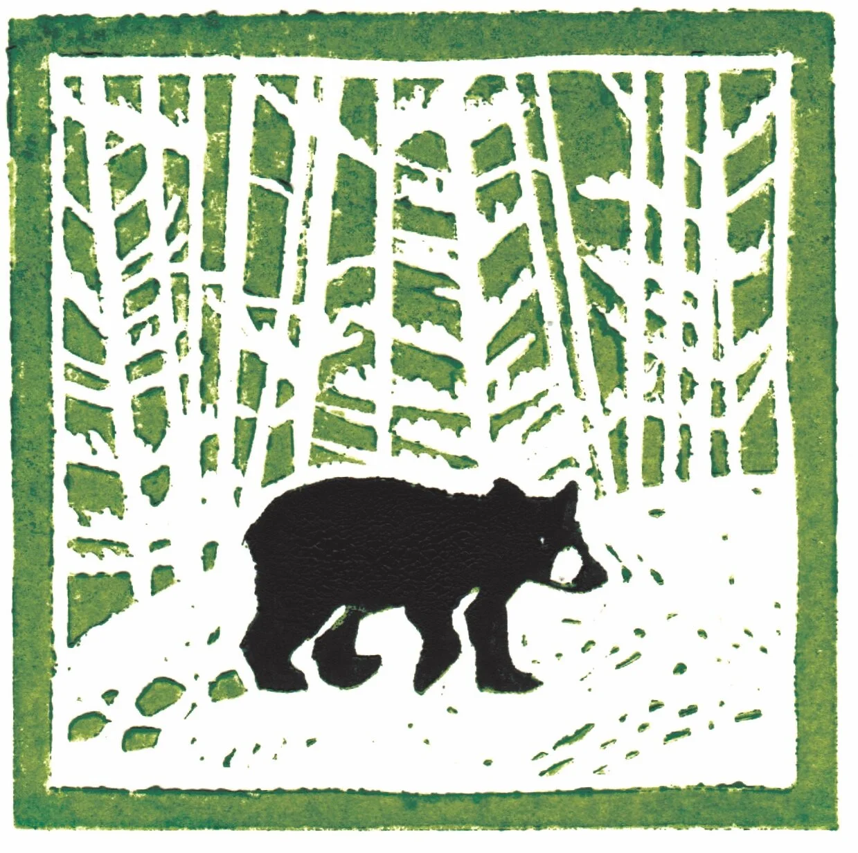 Bear Print Design