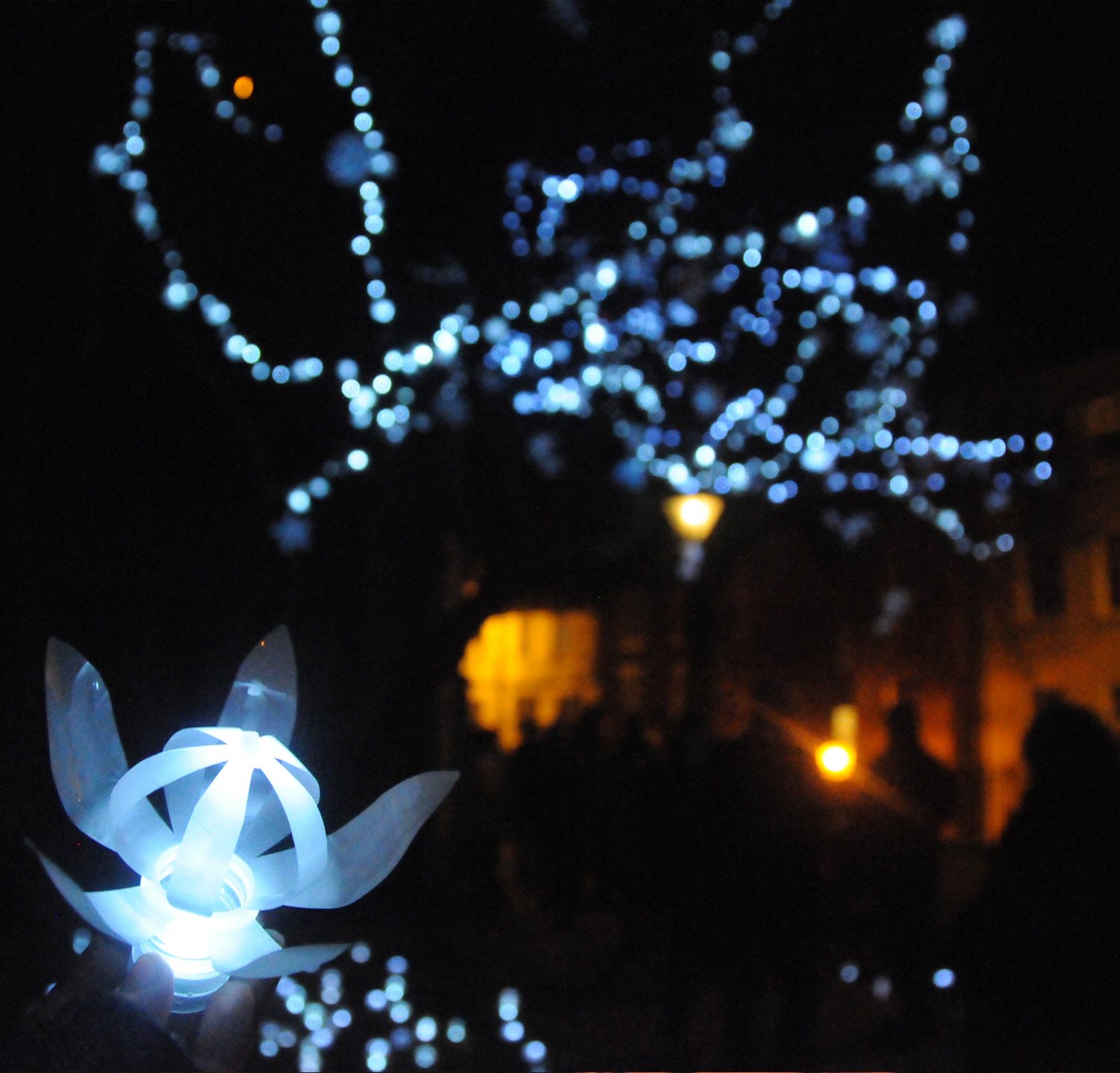 Tree Light Installation — Sarah Turner Eco Art & Design