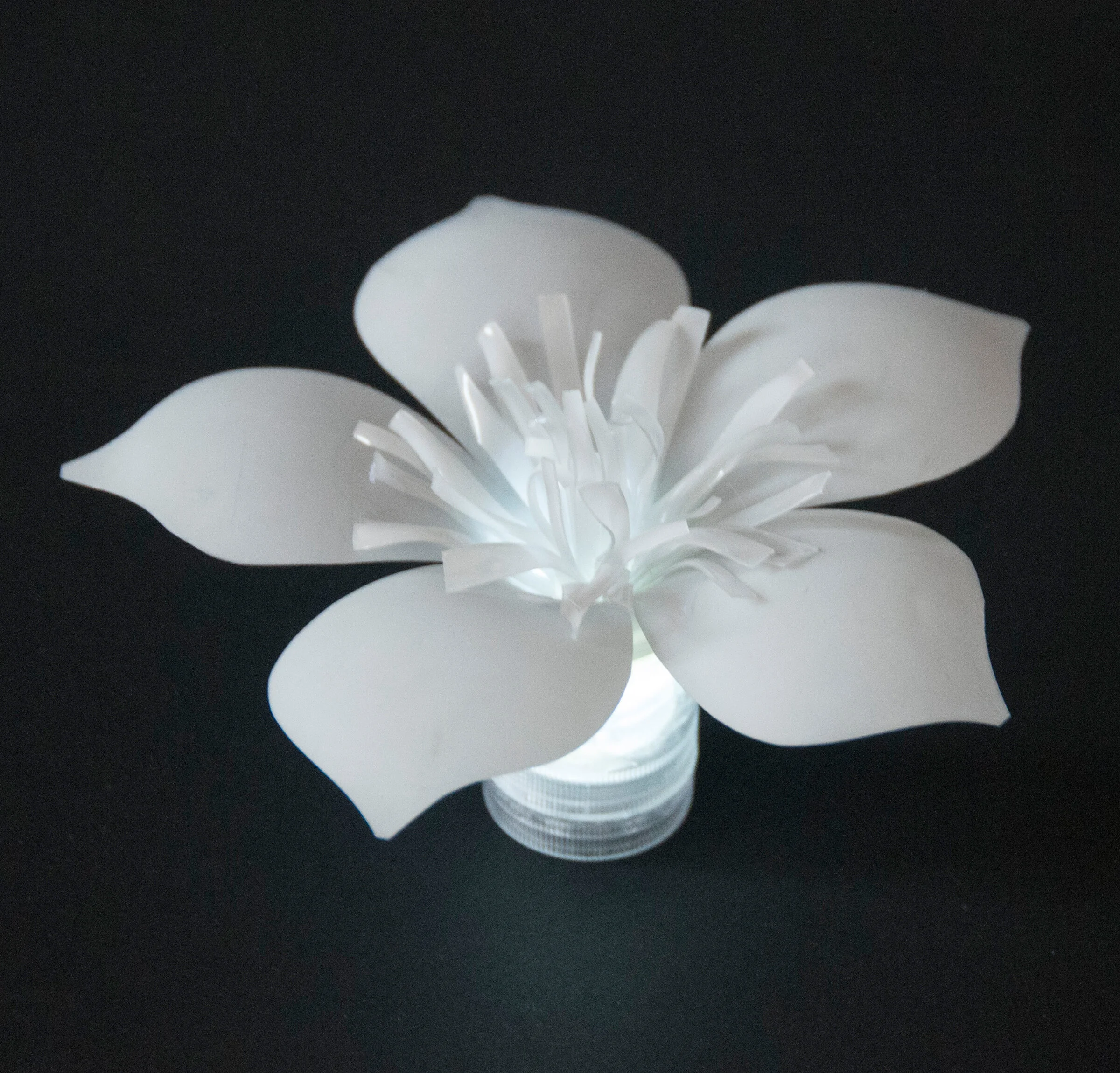 LED upcycled plastic bottle flower — Sarah Turner Eco Art & Design