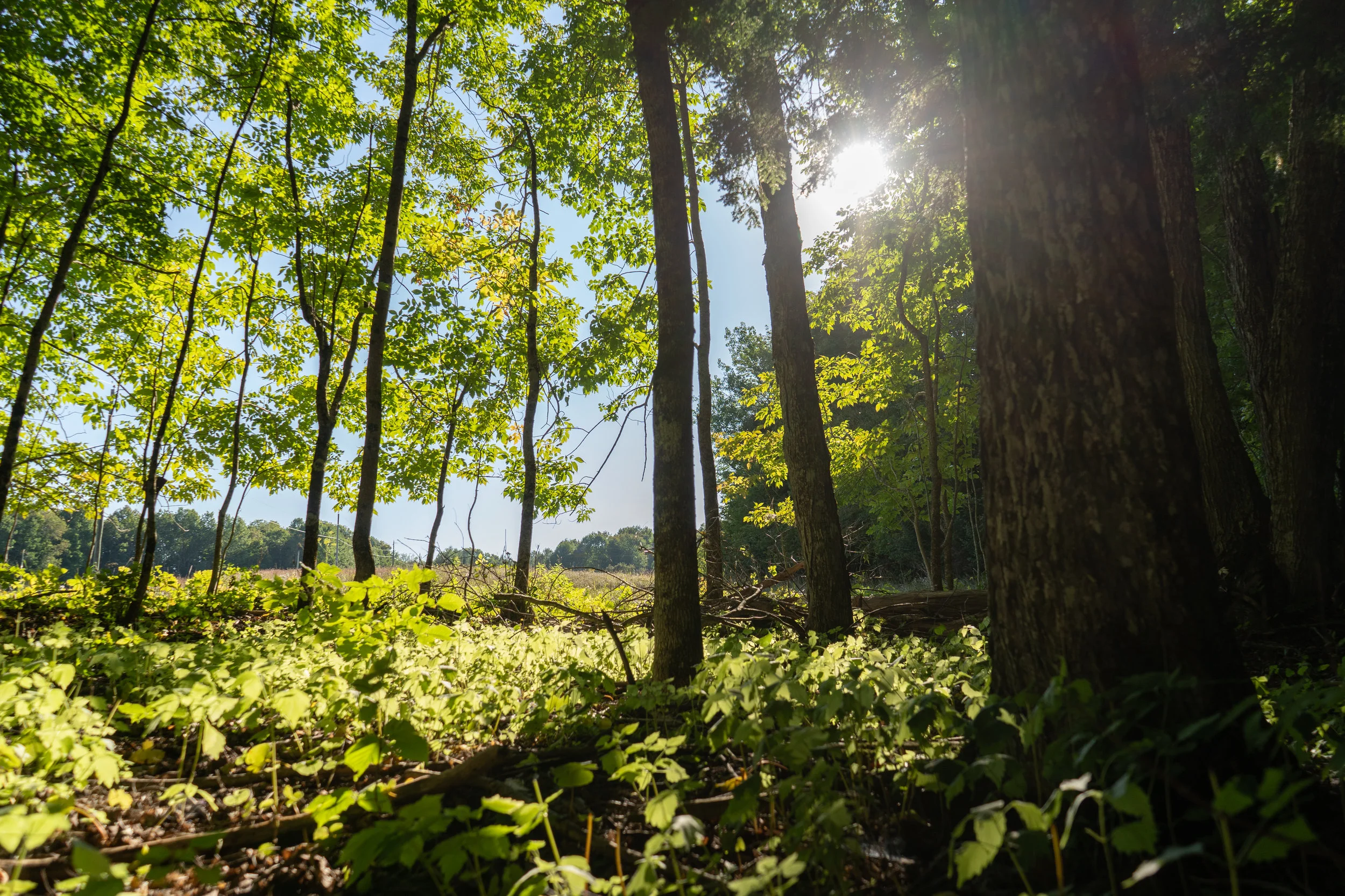 Reconnecting Through Nature — Nature Trust of New Brunswick