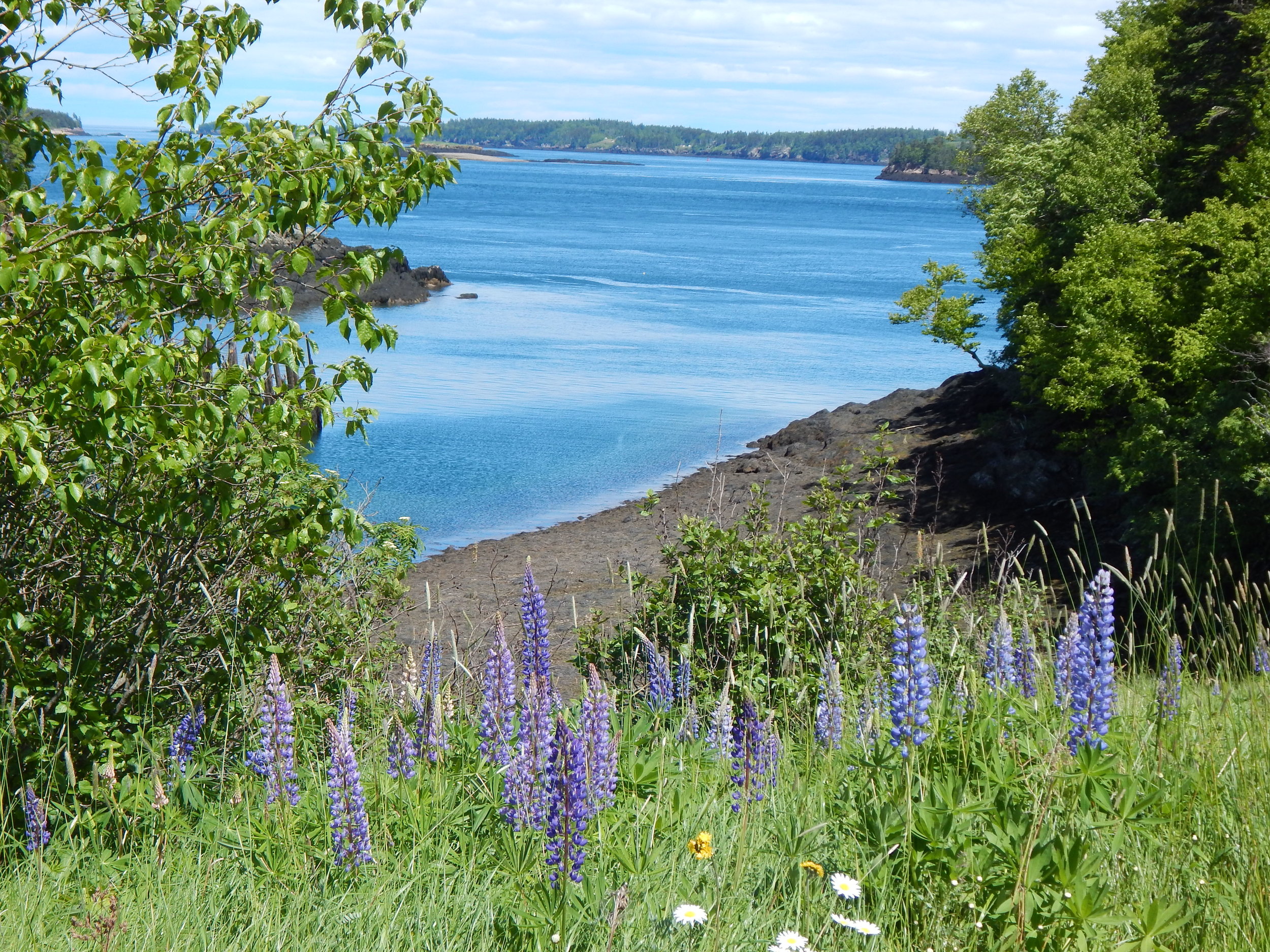 Clark Gregory Nature Preserve — Nature Trust of New Brunswick