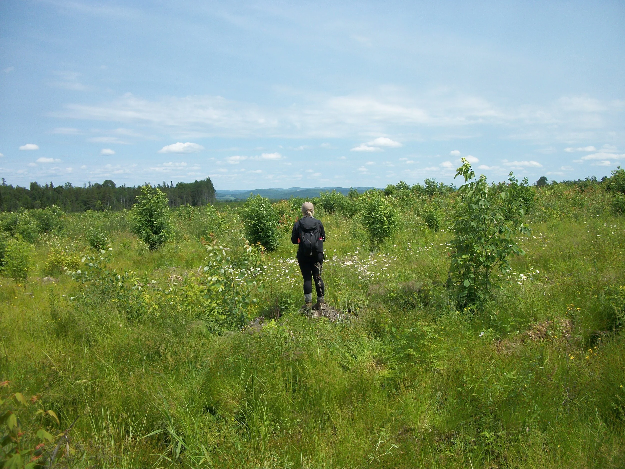 Land Conservation Options — Nature Trust of New Brunswick